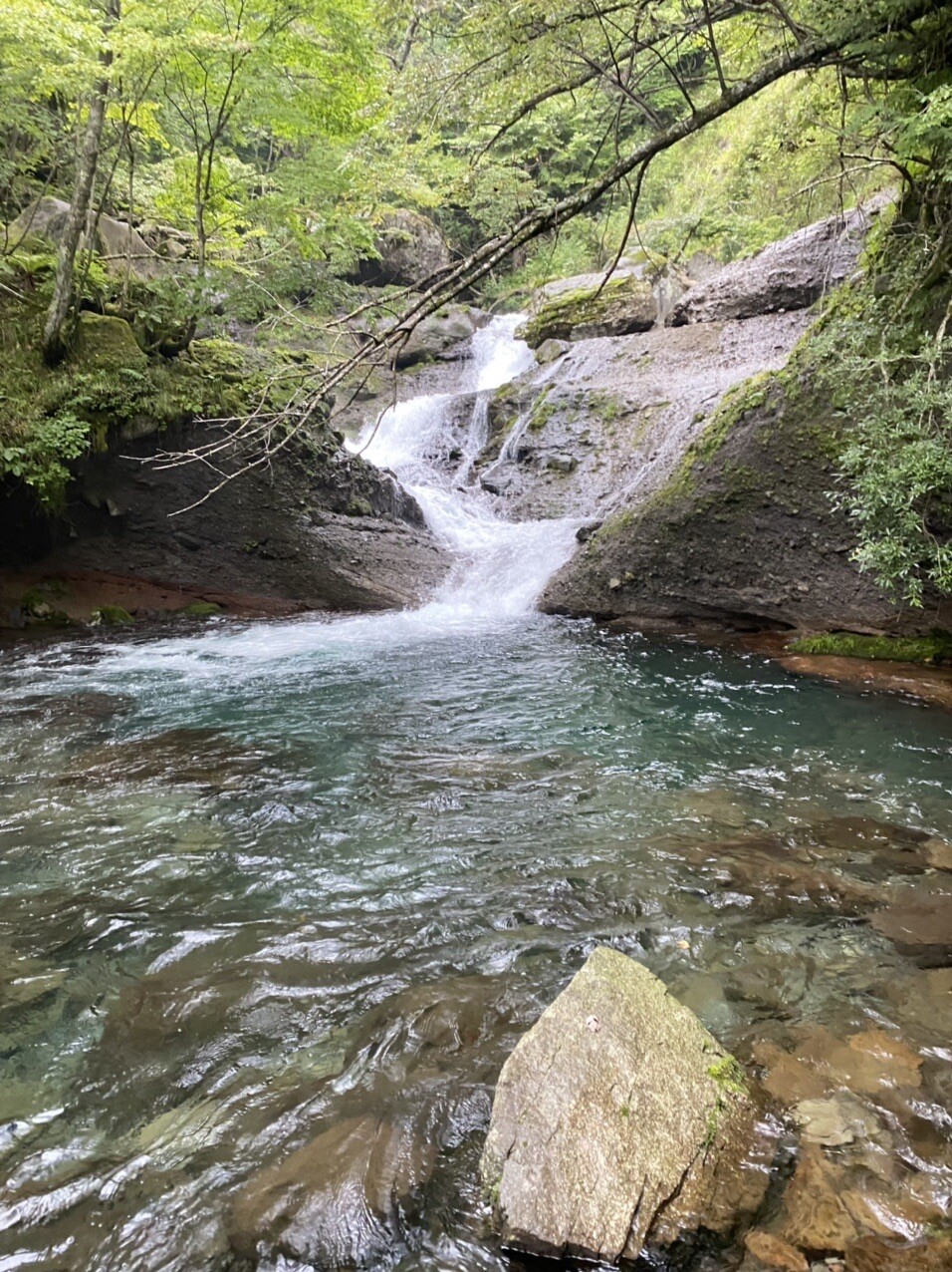岐阜市-2021-09-11 / kan44kan さんの岐阜市の活動データ | YAMAP / ヤマップ