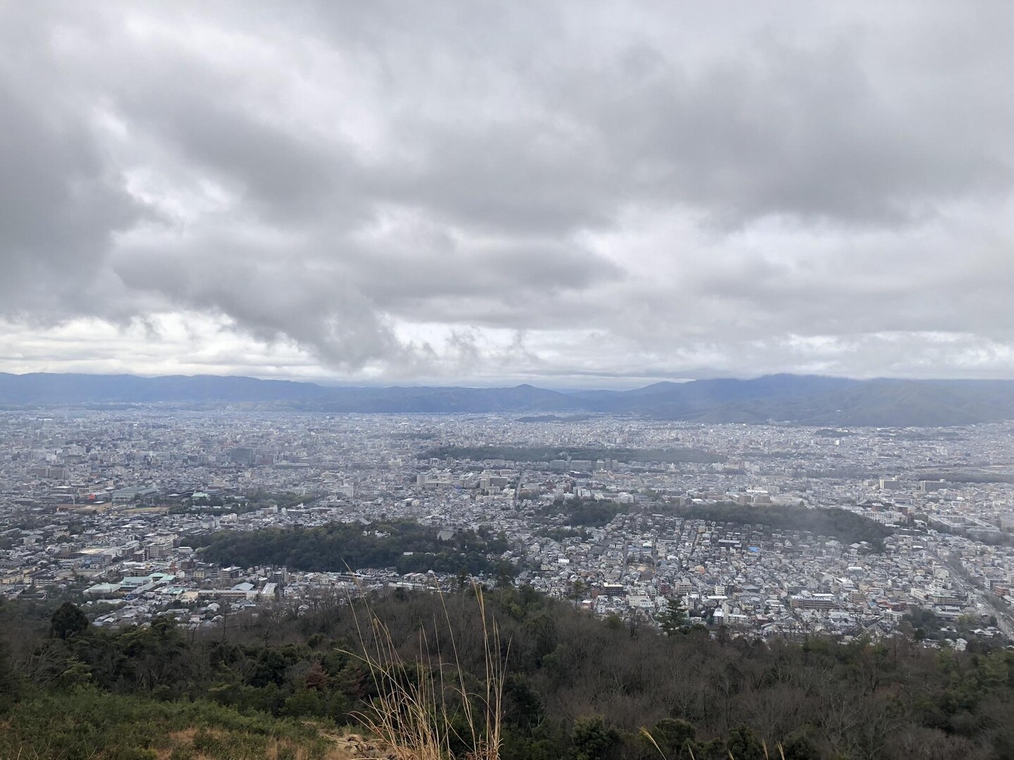 KUH（Kyoto Urayama Hiking）裏大文字 / susan（ヤマユウ）さんの大文字山・如意ヶ嶽・稲荷山の活動データ | YAMAP / ヤマップ