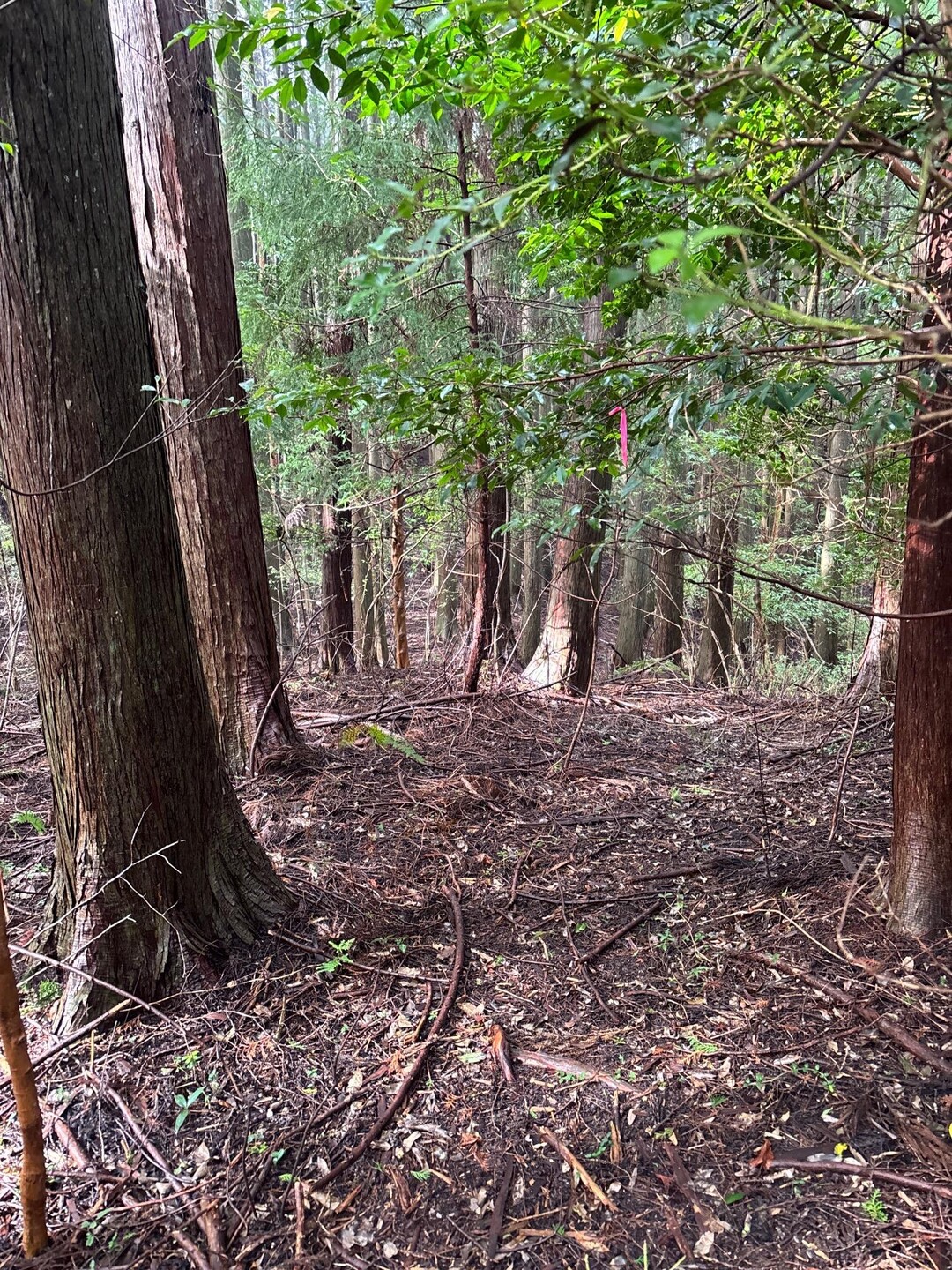 ttさんの投稿したフィールドメモ | YAMAP / ヤマップ