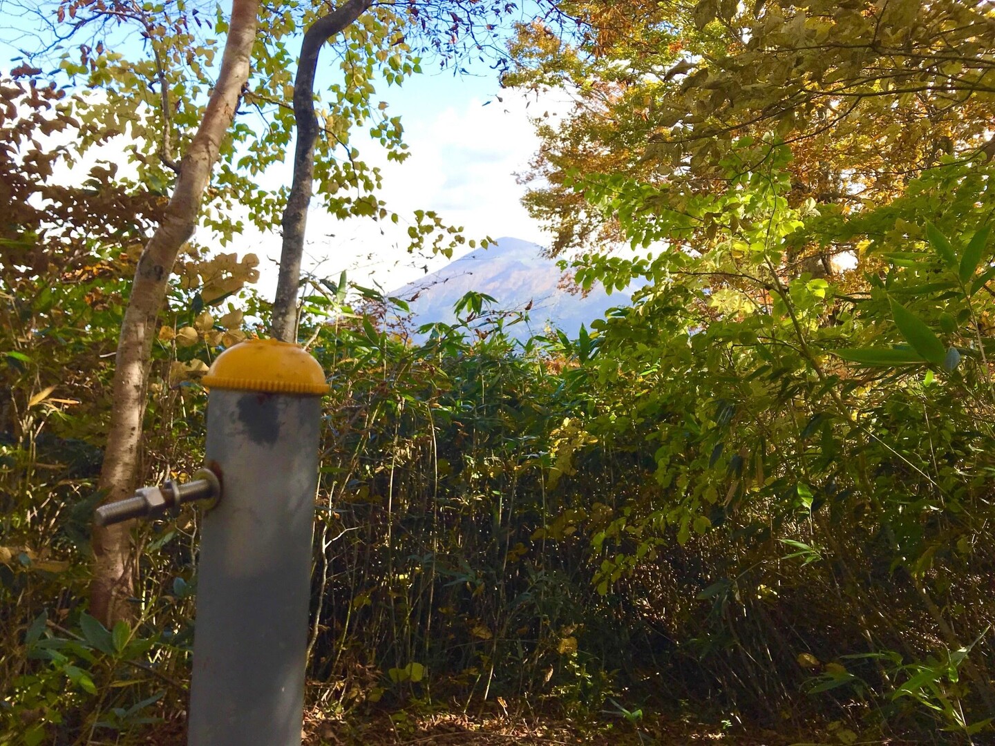 膝慣らし[下倉山]八幡平 / さちGさんの岩手山・八幡平・安比高原 50km トレイルの活動データ | YAMAP / ヤマップ