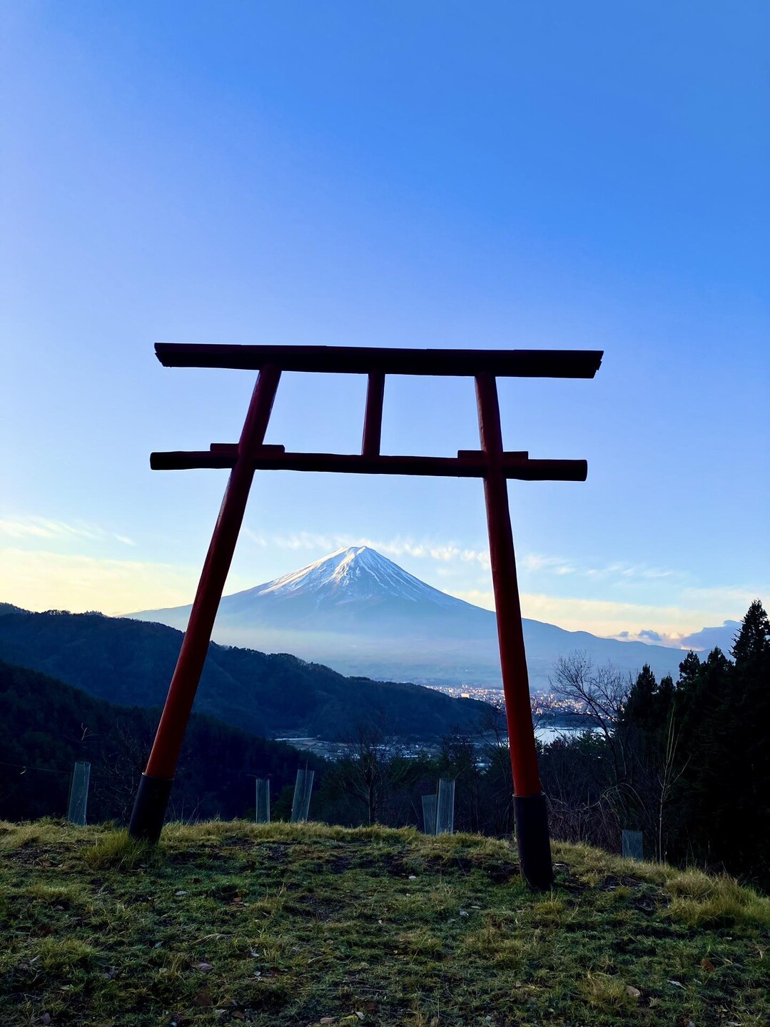 木無山・三ッ峠山（開運山）・御巣鷹山 / うどん2乗さんの三ッ峠山・本社ヶ丸・鶴ヶ鳥屋山の活動データ | YAMAP / ヤマップ