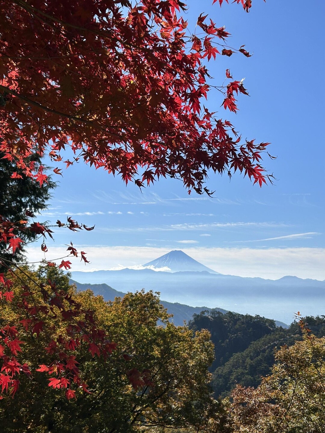 🍁昇仙峡🍁覚円峯・弥三郎岳（羅漢寺山）・白砂山・鷹の巣山 / まろさくらさんの弥三郎岳（羅漢寺山）の活動データ | YAMAP / ヤマップ