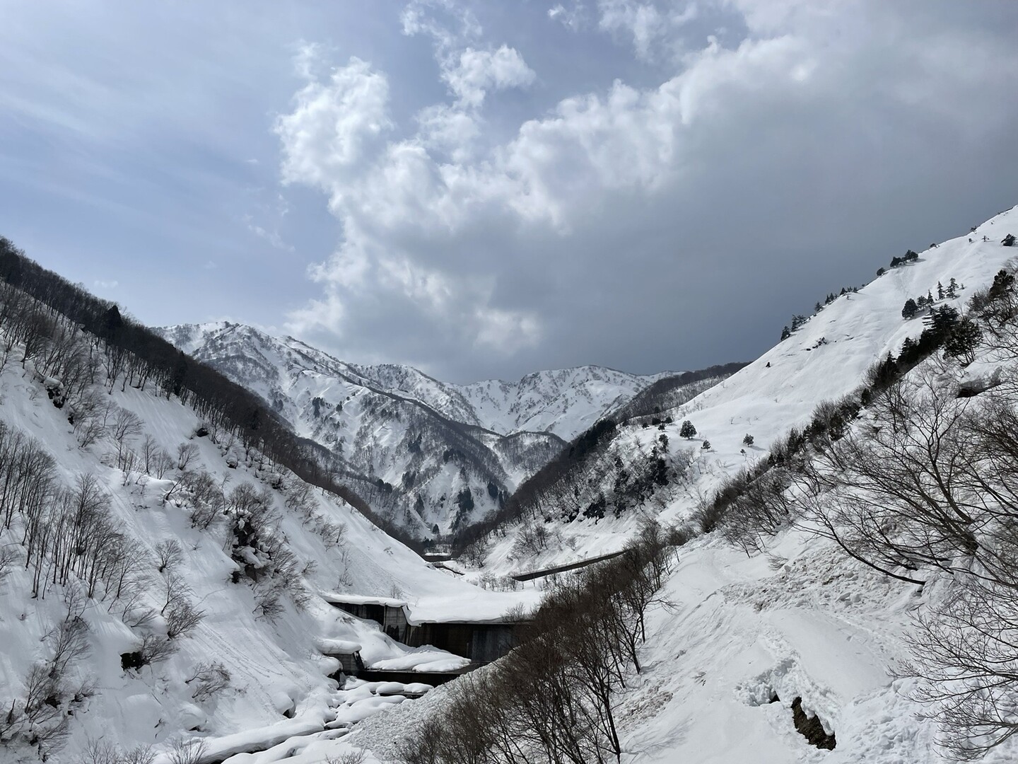 白馬五竜 遠見尾根BC / Hiroさんの鹿島槍ヶ岳・五竜岳（五龍岳）・唐松岳の活動データ | YAMAP / ヤマップ
