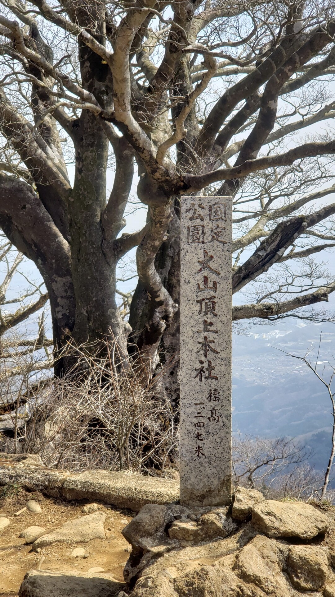 大山（神奈川県）-2020-03-22 / Shuu-jiさんの大山の活動データ | YAMAP / ヤマップ