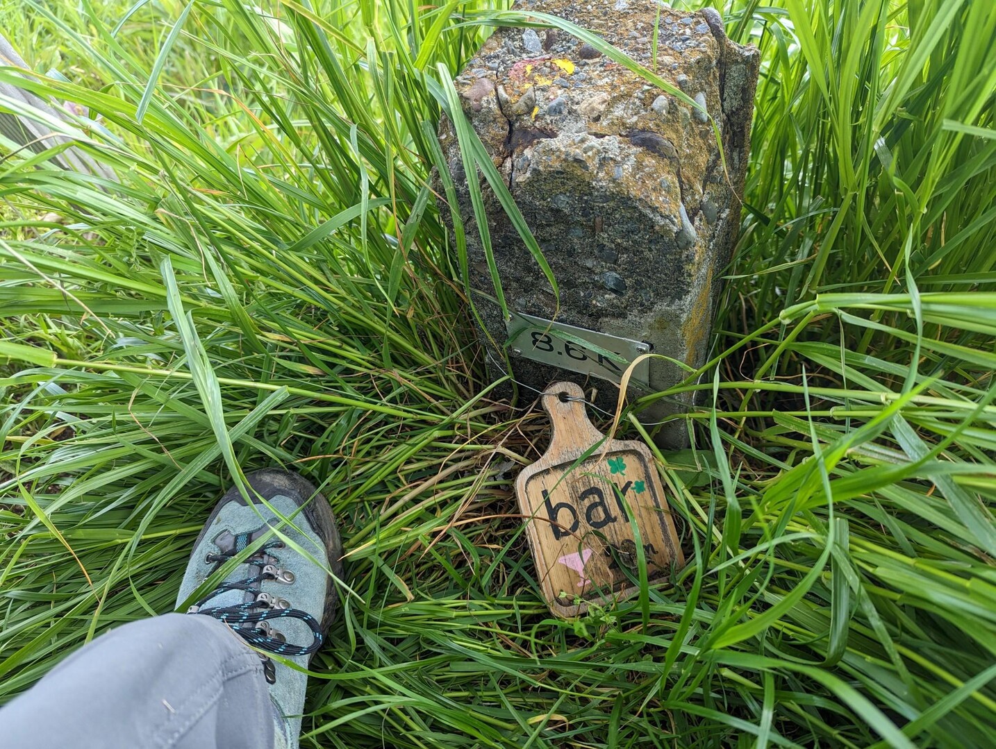 bar 🍸💃へ / tontonさんの甲州街道(府中宿～横山宿)の活動データ | YAMAP / ヤマップ