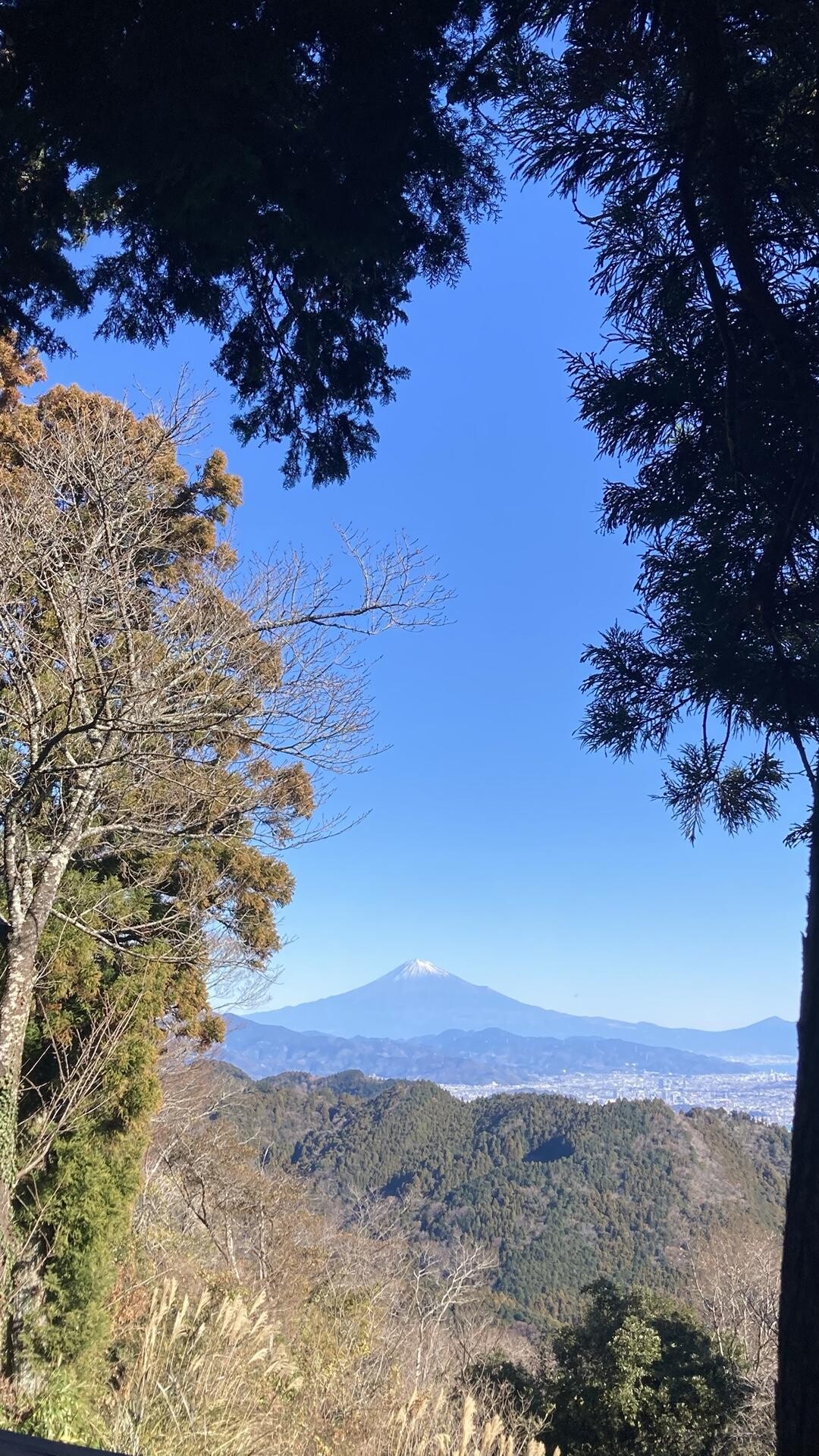 アラフィフ女子ラン部 ラン納め🏃‍♀️高草山⛰ / KRN.mmさんのランニングの活動日記 | YAMAP / ヤマップ