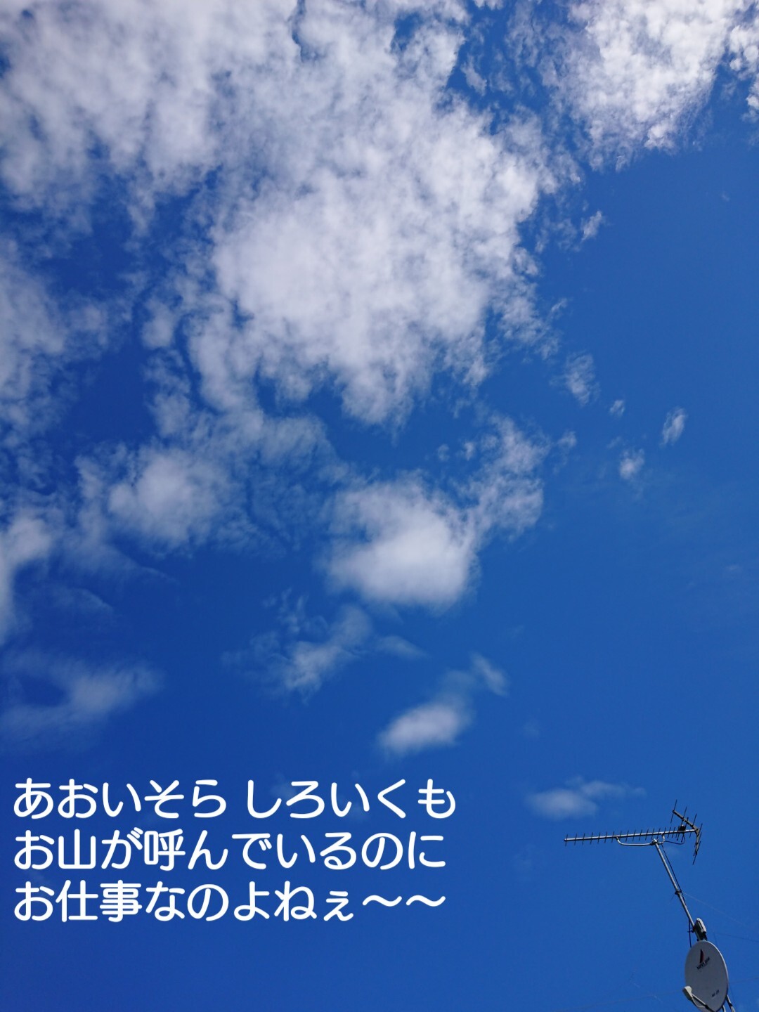 久しぶりの青空～ しかし お仕事なのね～... / POKAさんのモーメント | YAMAP / ヤマップ