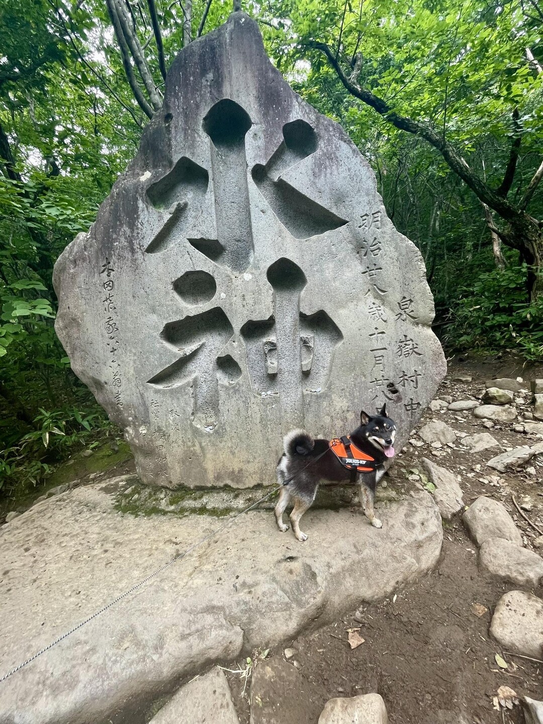 泉ヶ岳in柴犬2024.9.2 / chi.shiさんの船形山（御所山）・泉ヶ岳・蛇ヶ岳の活動データ | YAMAP / ヤマップ