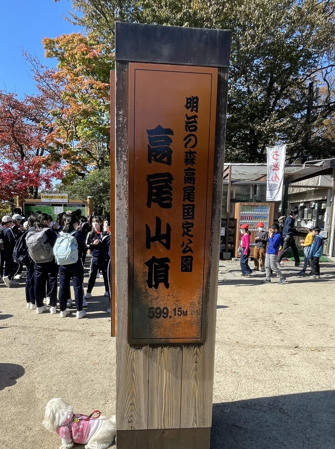 高尾山〔東京〕紅葉前ですが、大賑わい / aichi ksさんの高尾山・陣馬山・景信山の活動データ | YAMAP / ヤマップ