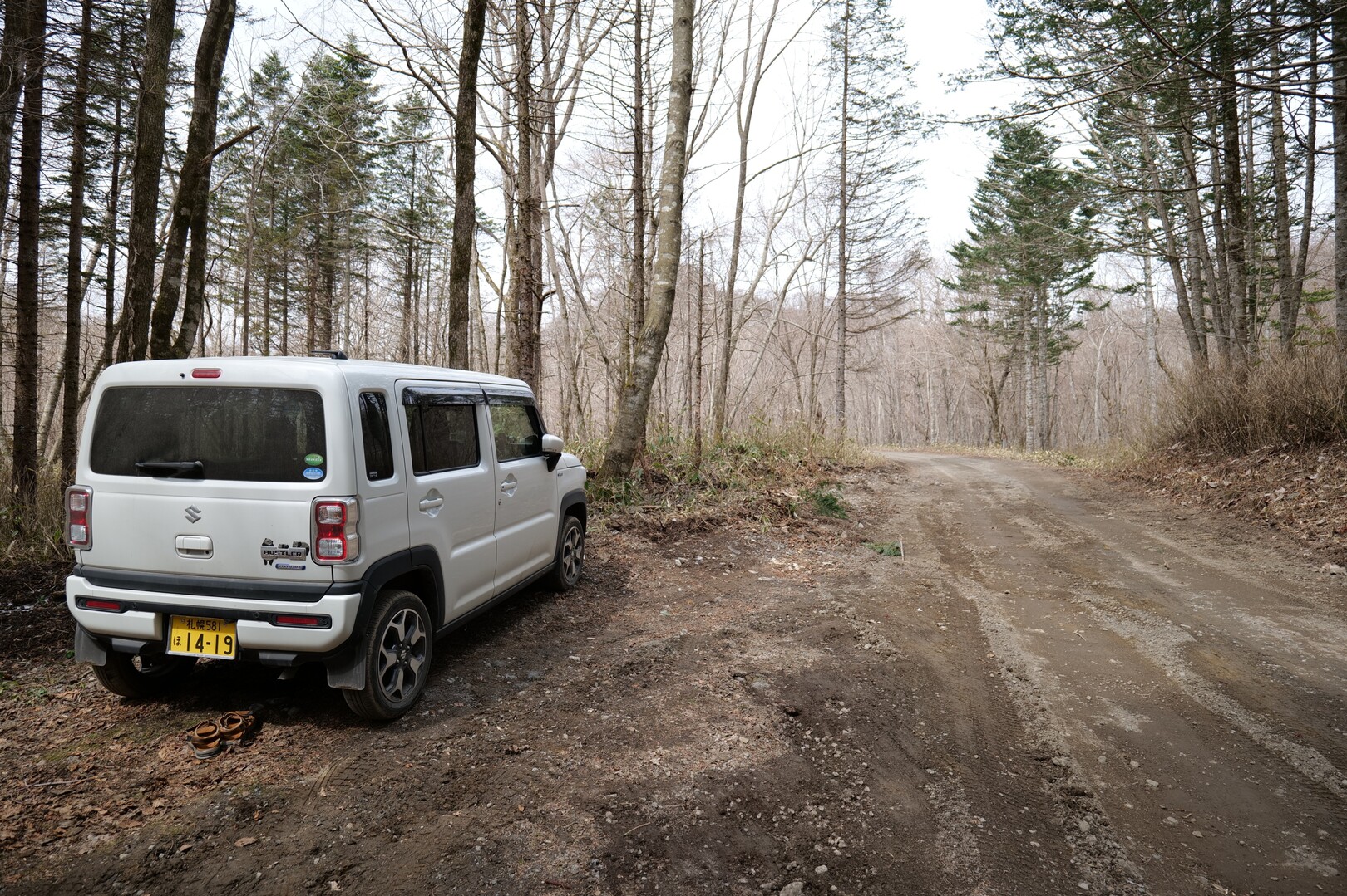 山菜第二弾は渋い結果でしたが、カミソリマ... / Cervo_SRさんのモーメント | YAMAP / ヤマップ