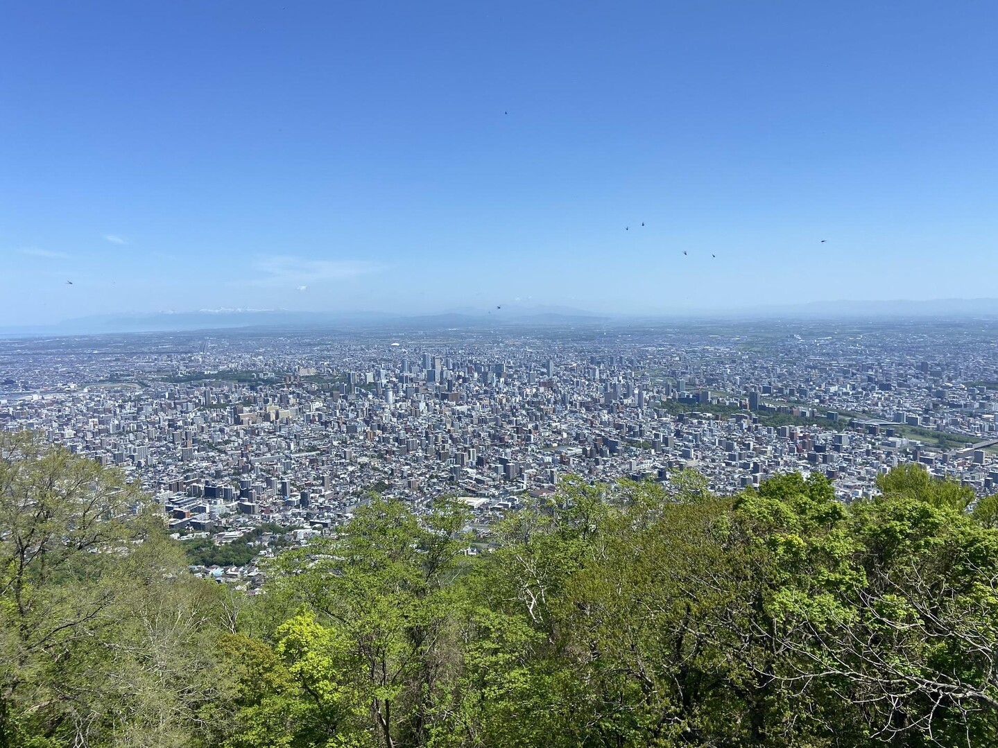 山鼻山・藻岩山 / mitさんの藻岩山の活動データ | YAMAP / ヤマップ