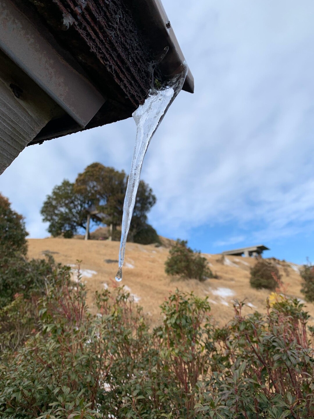 2024/1/28 (sun) ☀️ 経ヶ峰・経ヶ峰東峰 / kazeさんの経ヶ峰の活動データ | YAMAP / ヤマップ