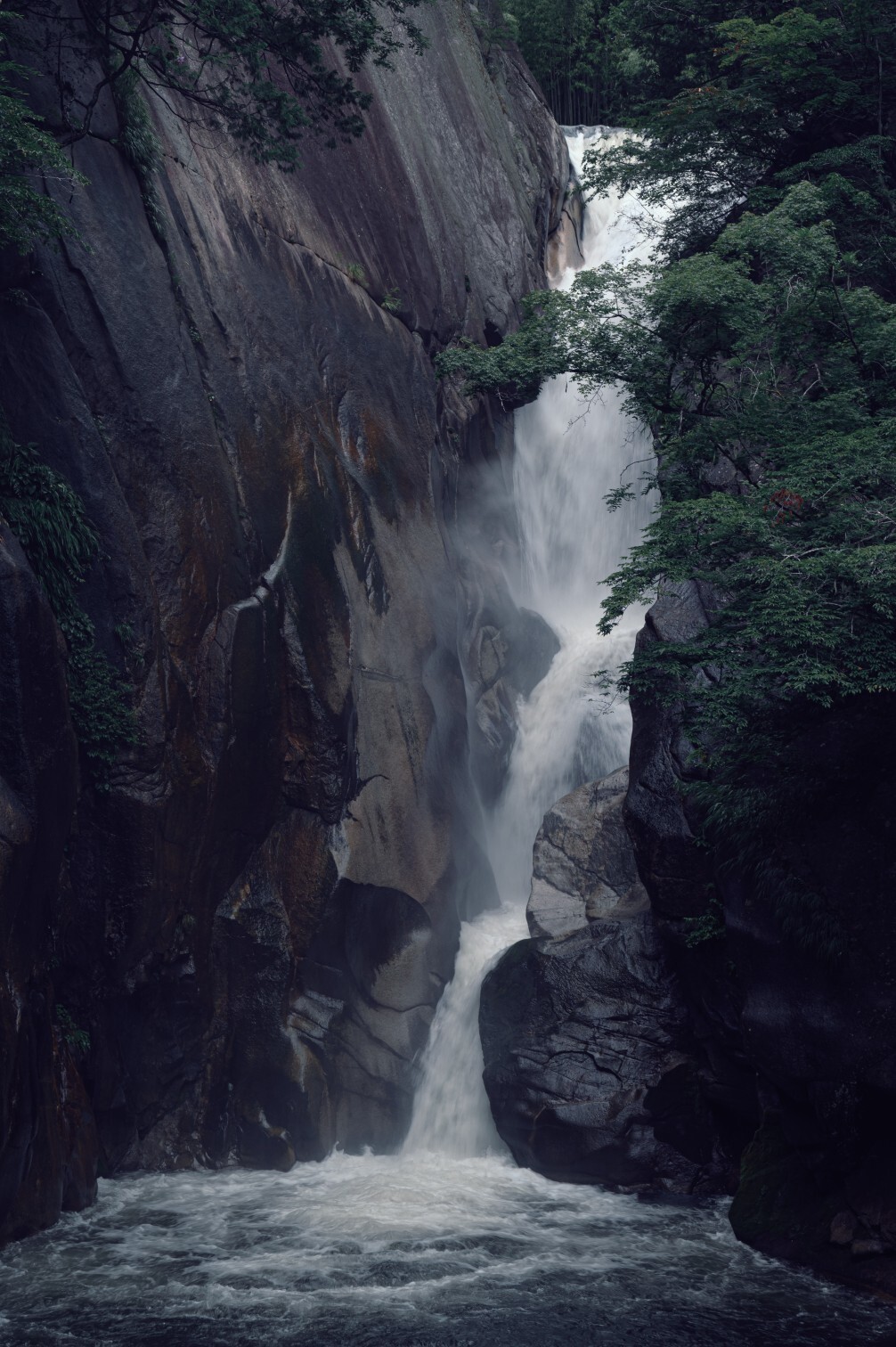 幸せは自分の中にあると氣付けたことが 今... / vlog_tottiyさんのモーメント | YAMAP / ヤマップ