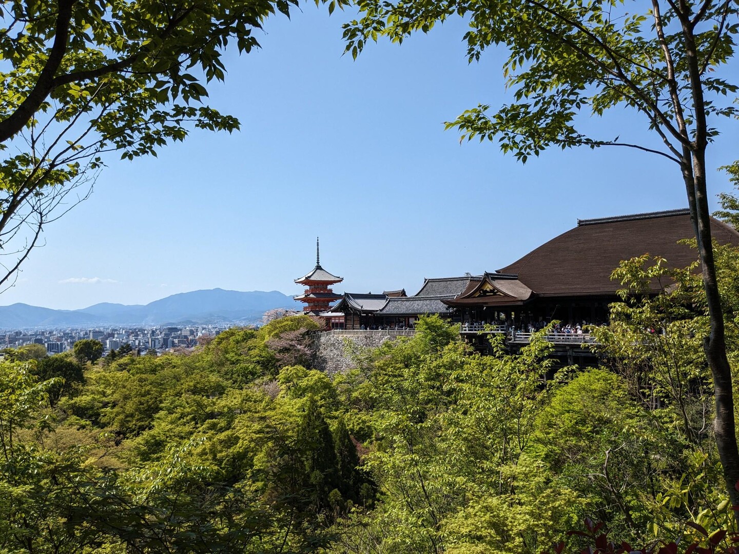 東山・清水山・清閑寺山 / Shuさんの大文字山・如意ヶ嶽・稲荷山の活動データ | YAMAP / ヤマップ