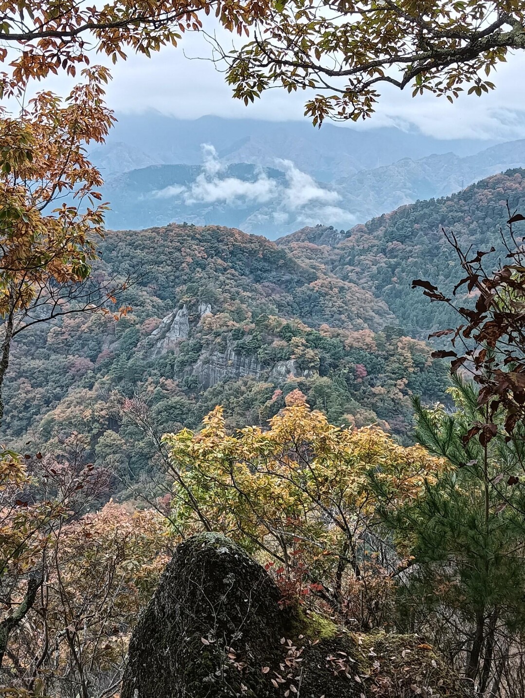 岩殿山 / sugar marchさんの百蔵山・扇山・権現山の活動データ | YAMAP / ヤマップ