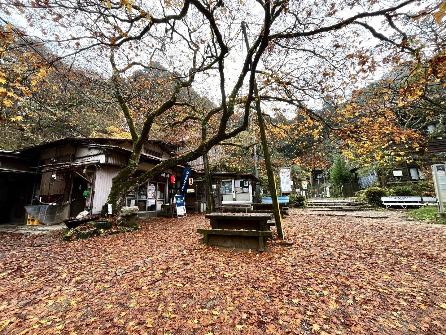 落葉🍂金剛山🍁 / OLD HOUSEさんの金剛山・二上山・大和葛城山の活動データ | YAMAP / ヤマップ
