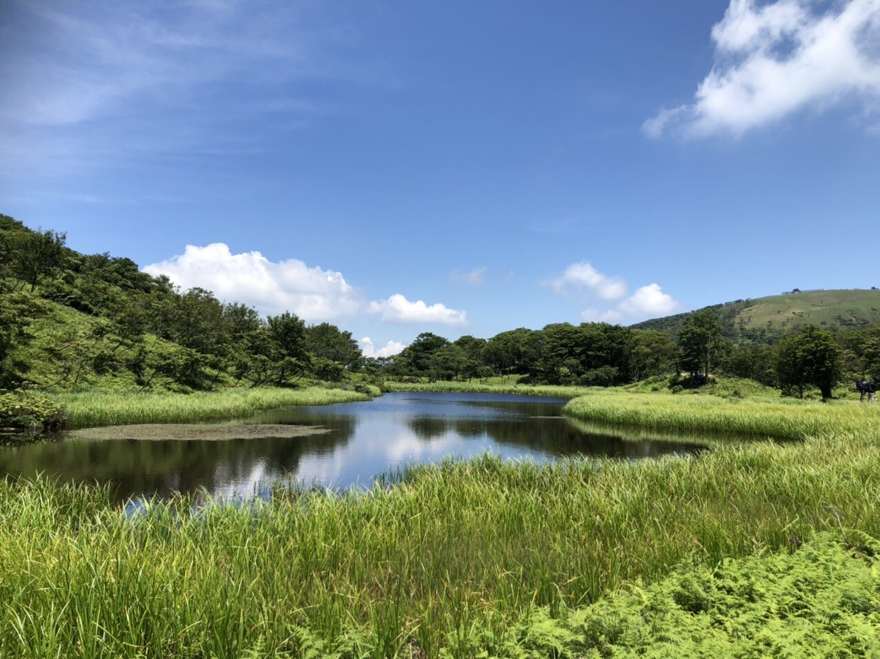 蓬莱山・打見山 / つのたかさんの比良山地・武奈ヶ岳・釈迦岳の活動日記 | YAMAP / ヤマップ