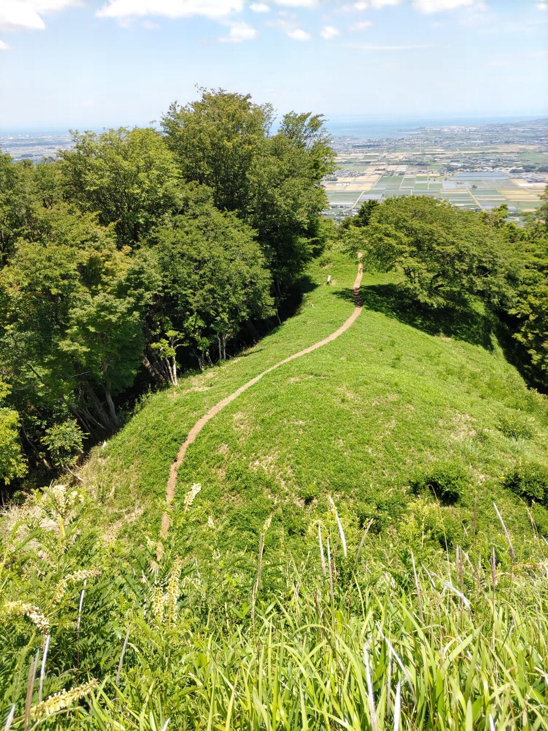 桝形山【312.3m】往復ｺｰｽ / さとちゃんさんの堀坂山・観音岳・桝形山（白米城）の活動データ | YAMAP / ヤマップ