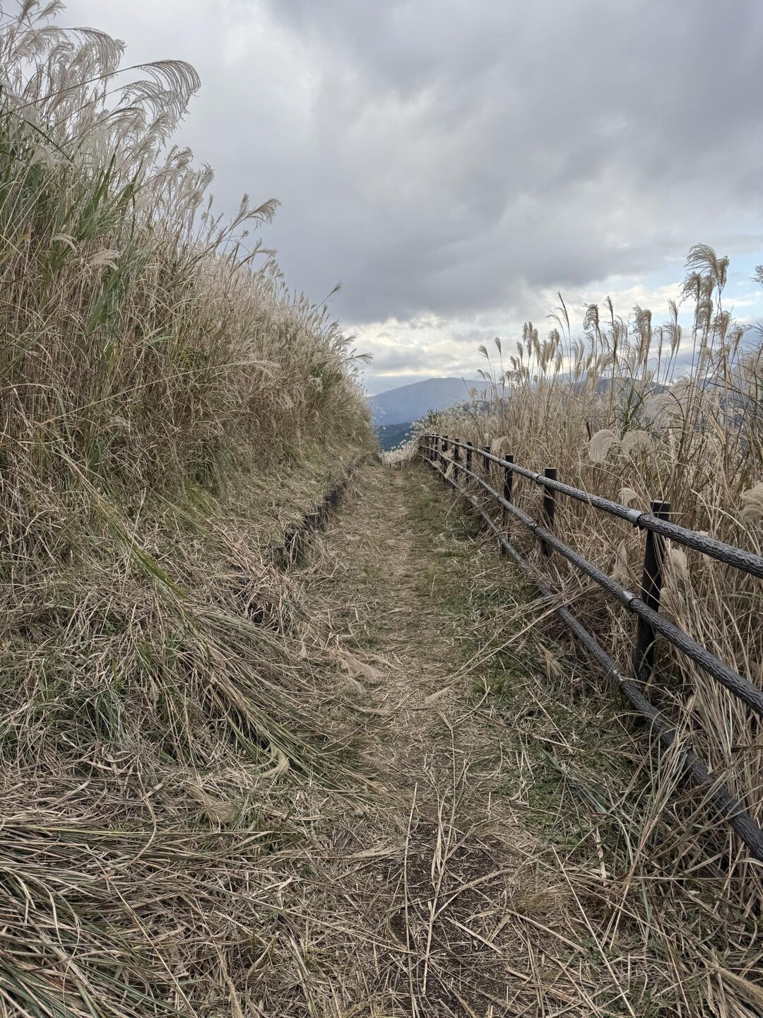 大野山 / Yuk-sさんの高松山・大野山の活動データ | YAMAP / ヤマップ