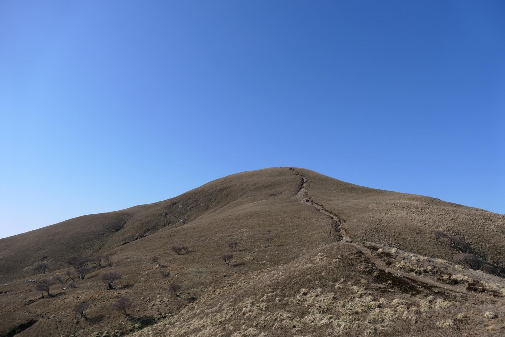 竜ヶ岳 / 6DMEさんの竜ヶ岳の活動データ | YAMAP / ヤマップ
