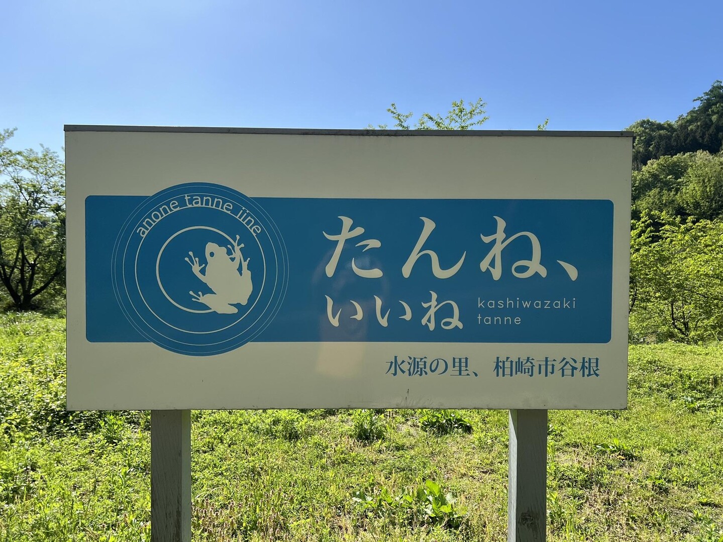たんね、いいね 〜米山 / toyoさんの米山の活動日記 | YAMAP / ヤマップ