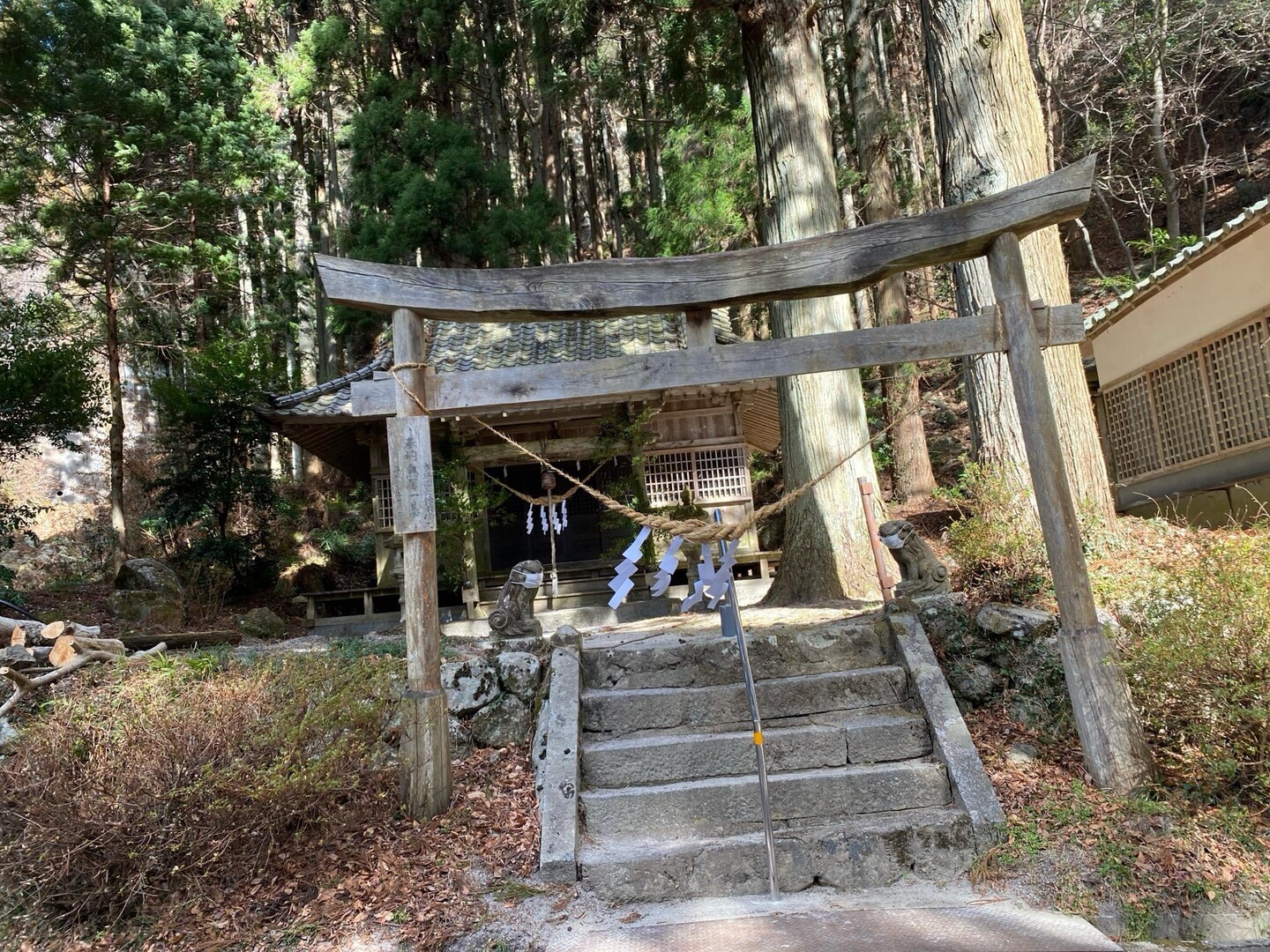 男体山・女体山・二ッ箭山・月山 / GA GAさんの二ッ箭山・三森山・猫鳴山の活動データ | YAMAP / ヤマップ