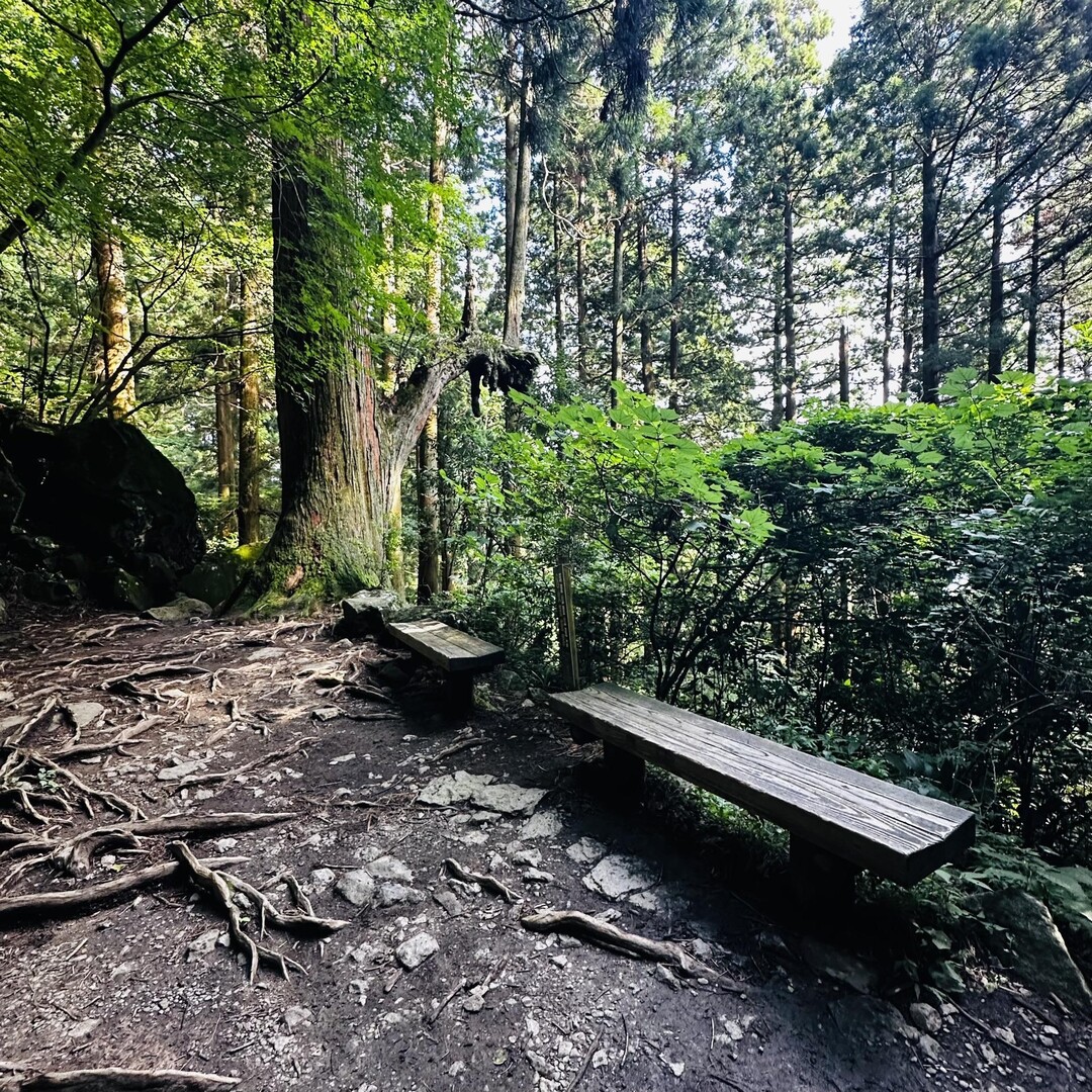 Yossyさんの投稿したフィールドメモ | YAMAP / ヤマップ