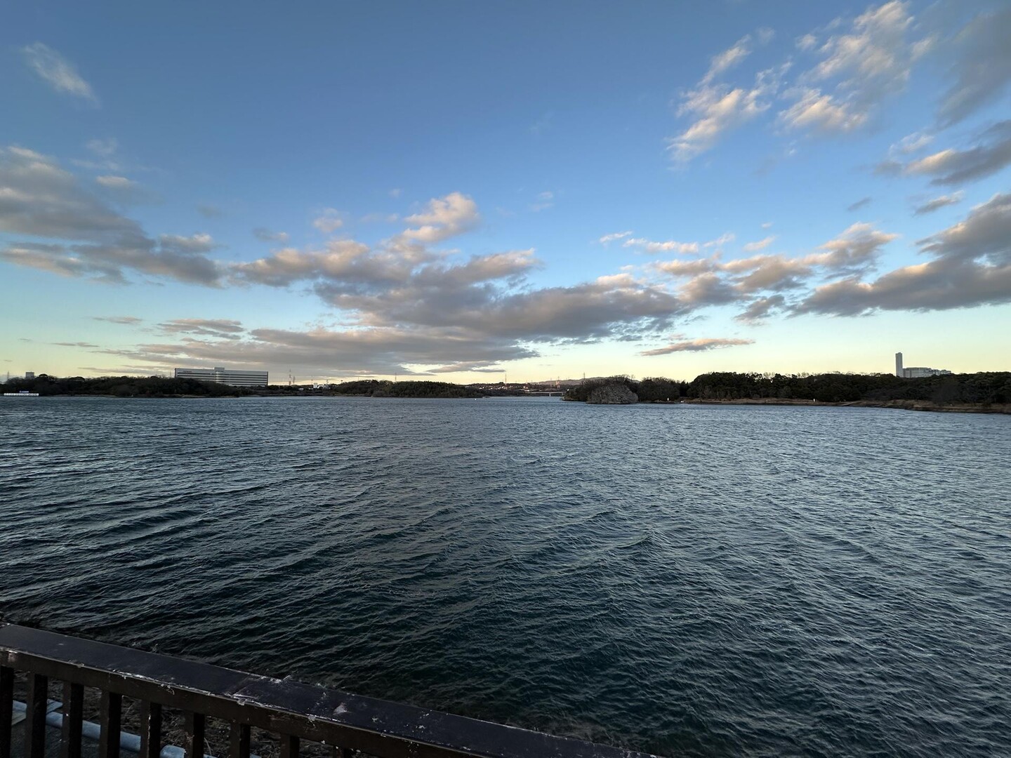 ランニング-2025-02-11 / 地御前のオオカミさんのランニングの活動データ | YAMAP / ヤマップ