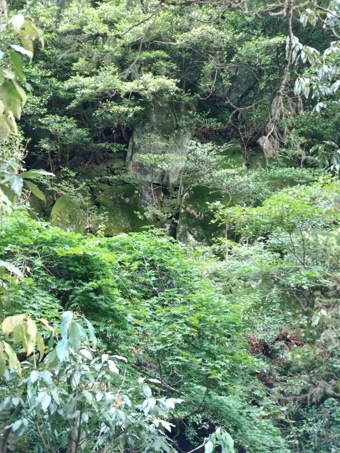 FutagoLoveさんの投稿したフィールドメモ | YAMAP / ヤマップ