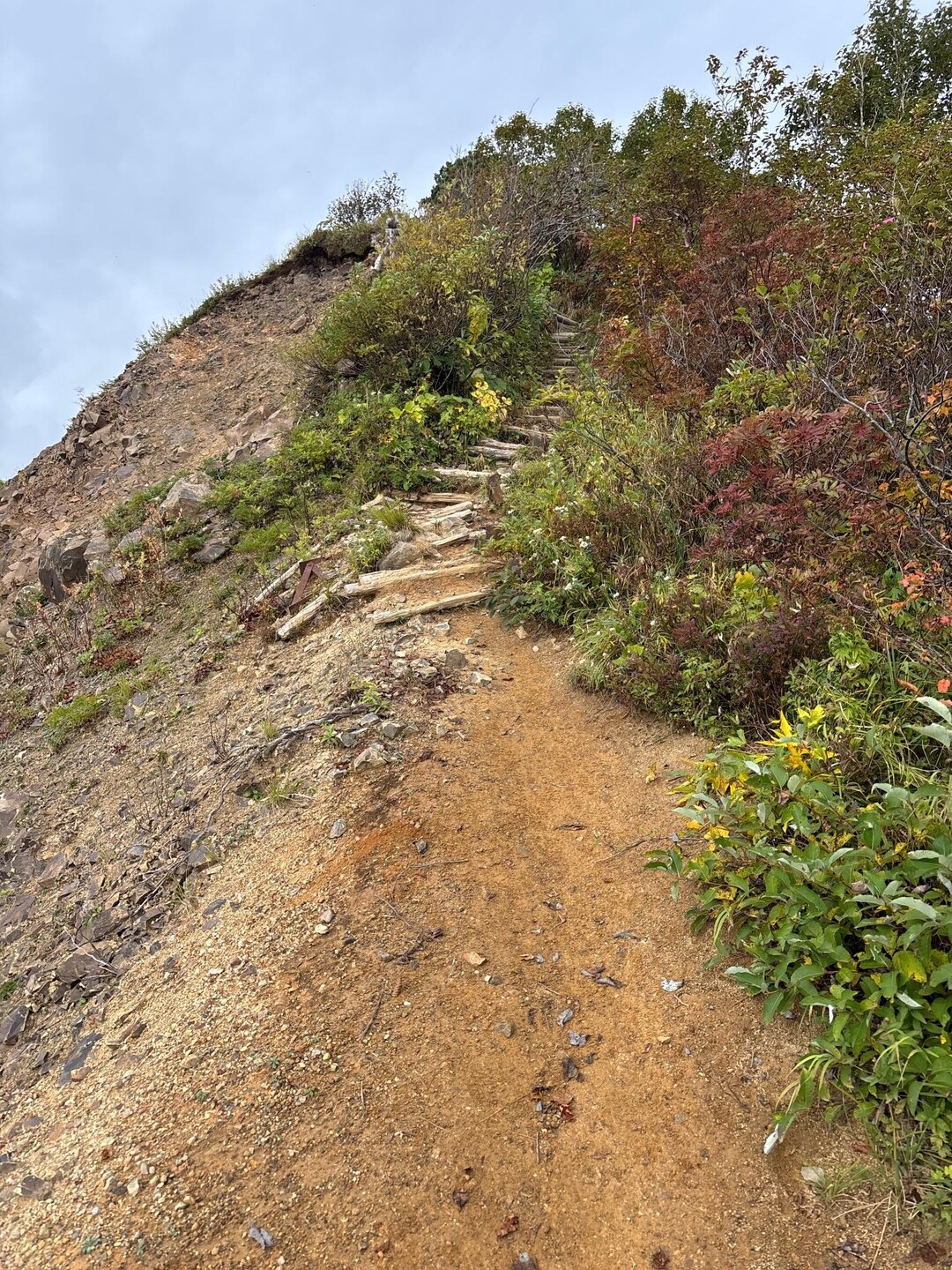 ttさんの投稿したフィールドメモ | YAMAP / ヤマップ