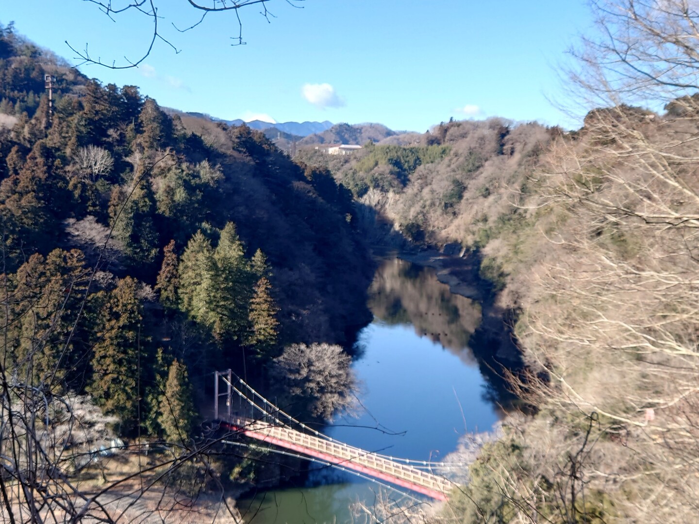 春は冬のそば～高尾で年越し(た)蕎麦を2杯食う。 / ANCさんの高尾山・陣馬山・景信山の活動日記 | YAMAP / ヤマップ