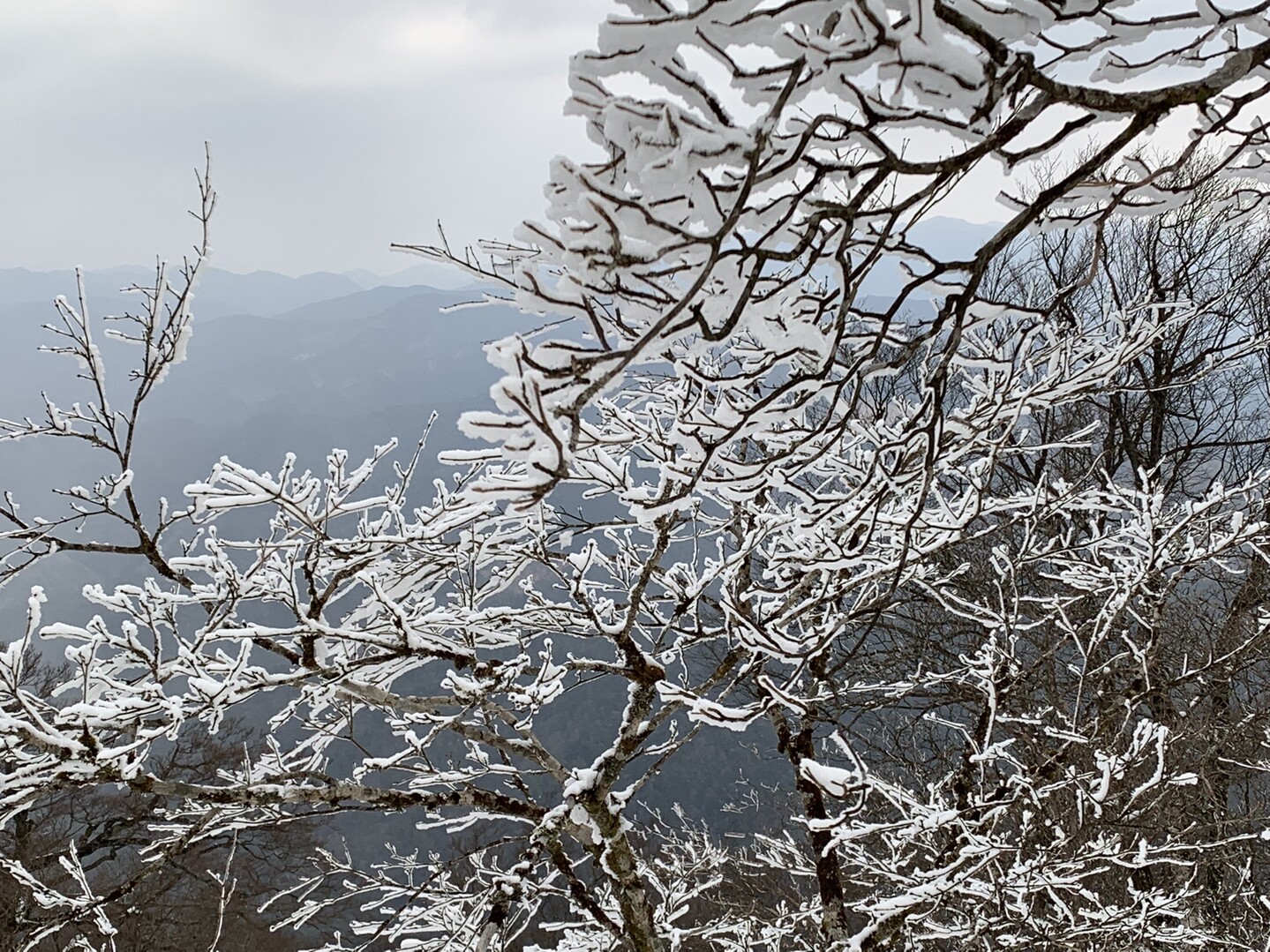 高見山 / yomshtさんの高見山・黒石山・天狗山の活動データ | YAMAP / ヤマップ