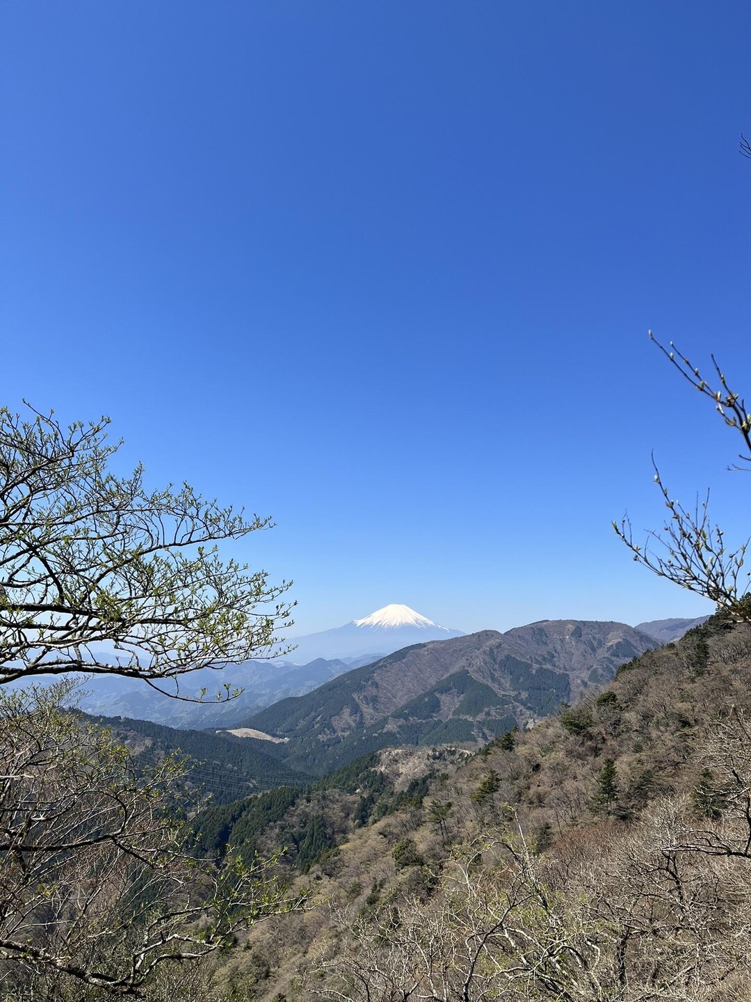 2023.04.10 大山 / Gさんの大山の活動データ | YAMAP / ヤマップ