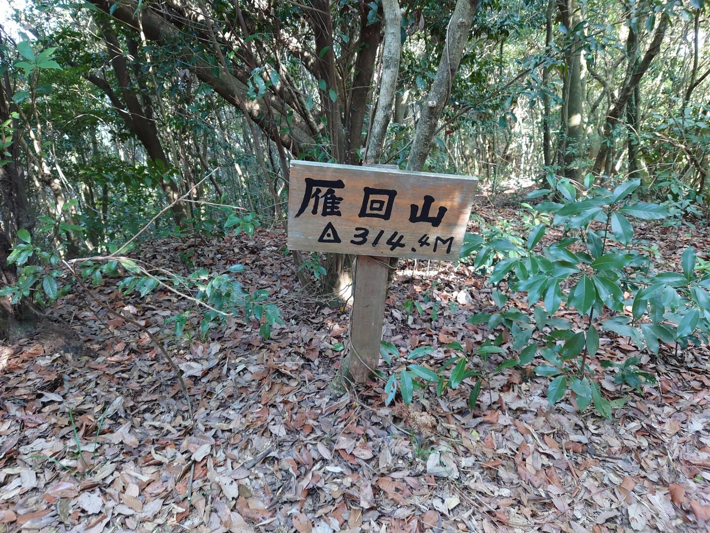 雁回山 / kikuさんの雁回山の活動データ | YAMAP / ヤマップ