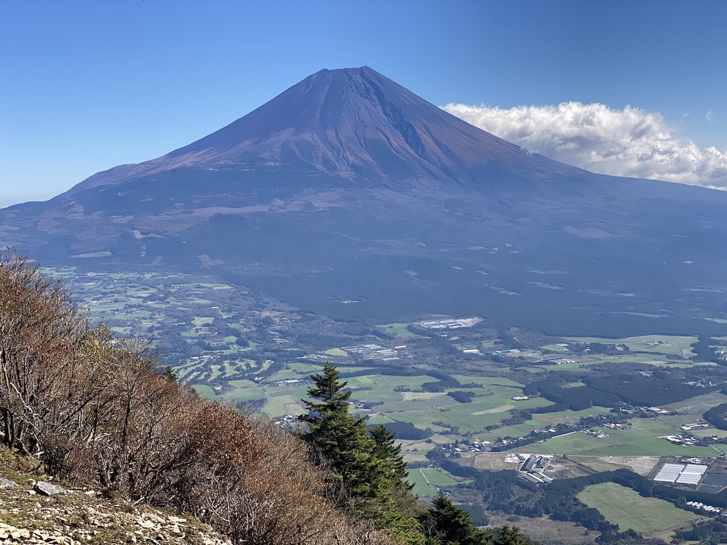 3度目の毛無山⛰️は快晴〜 / UKIさんの毛無山・雨ヶ岳・竜ヶ岳の活動データ | YAMAP / ヤマップ