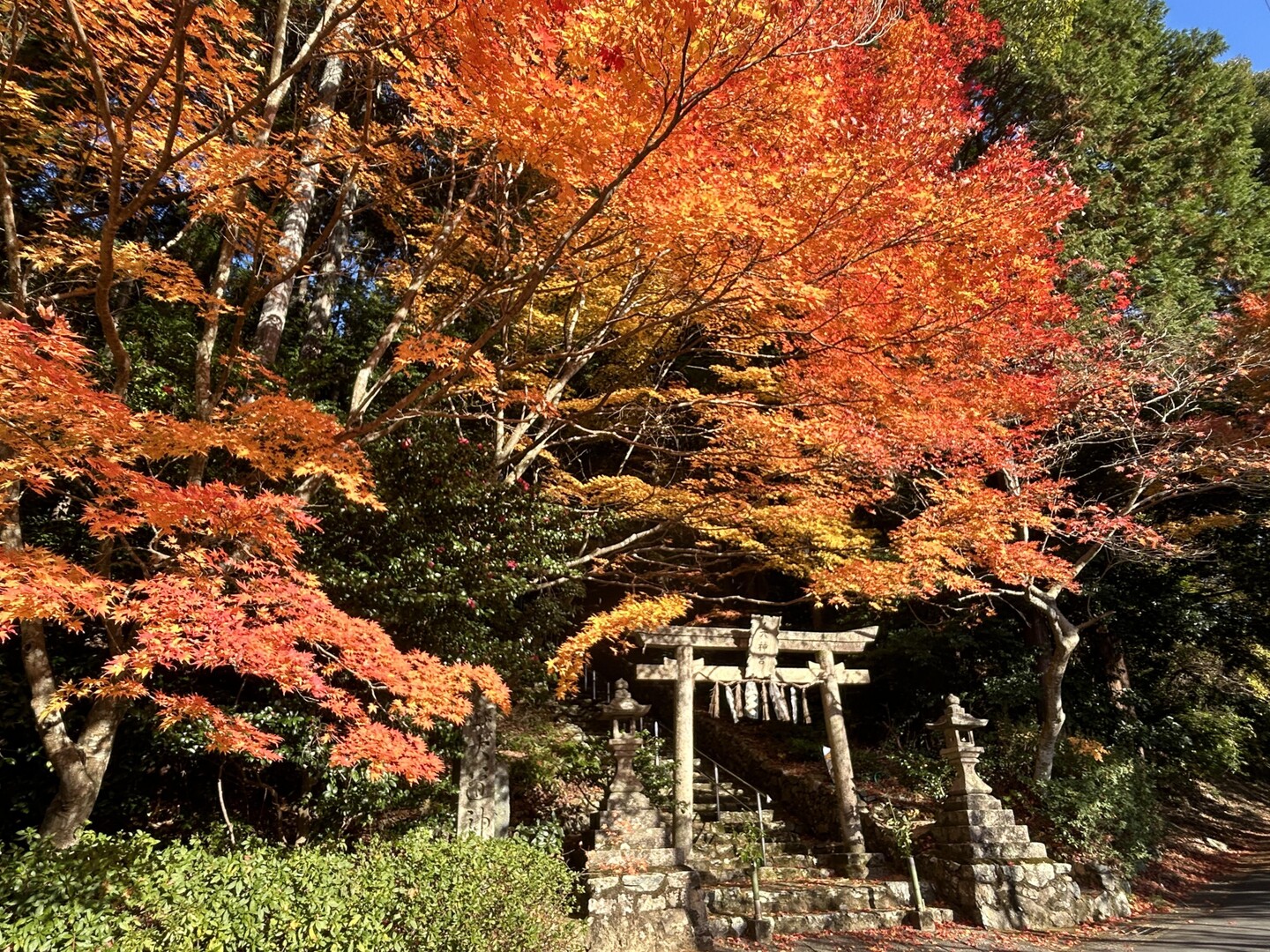 鷲峰山 / Thomasさんの鷲峰山・釈迦岳の活動データ | YAMAP / ヤマップ