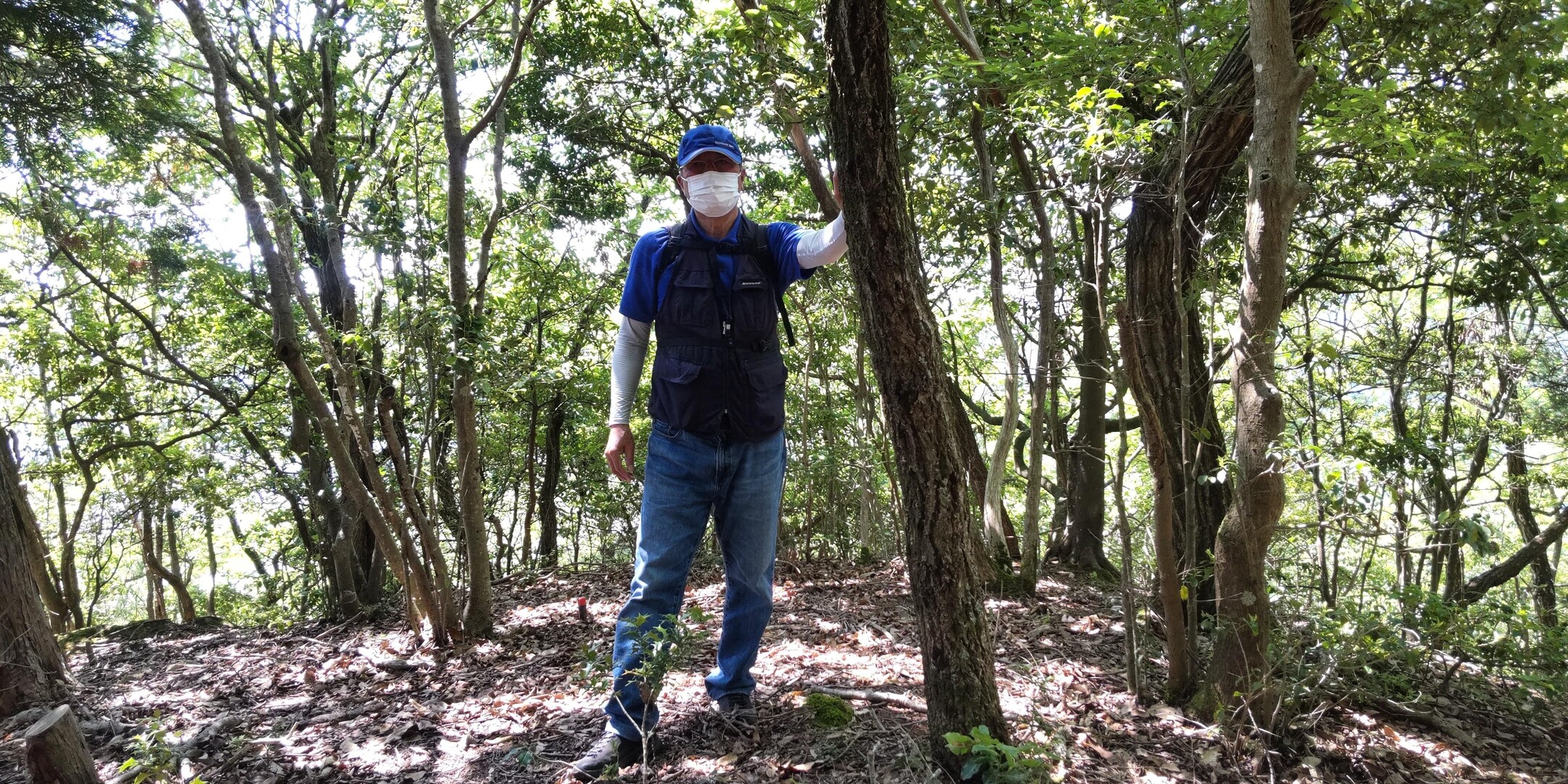 荒神山（芝田富士）① / koke280さんの亀山・鶏籠山・的場山の活動データ | YAMAP / ヤマップ