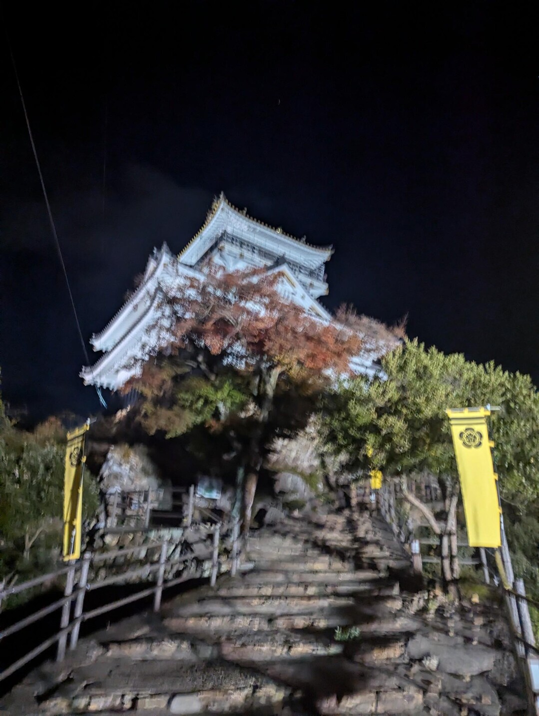 勝手に金華山TT / みっちゅさんの金華山・洞山・舟伏山の活動データ | YAMAP / ヤマップ