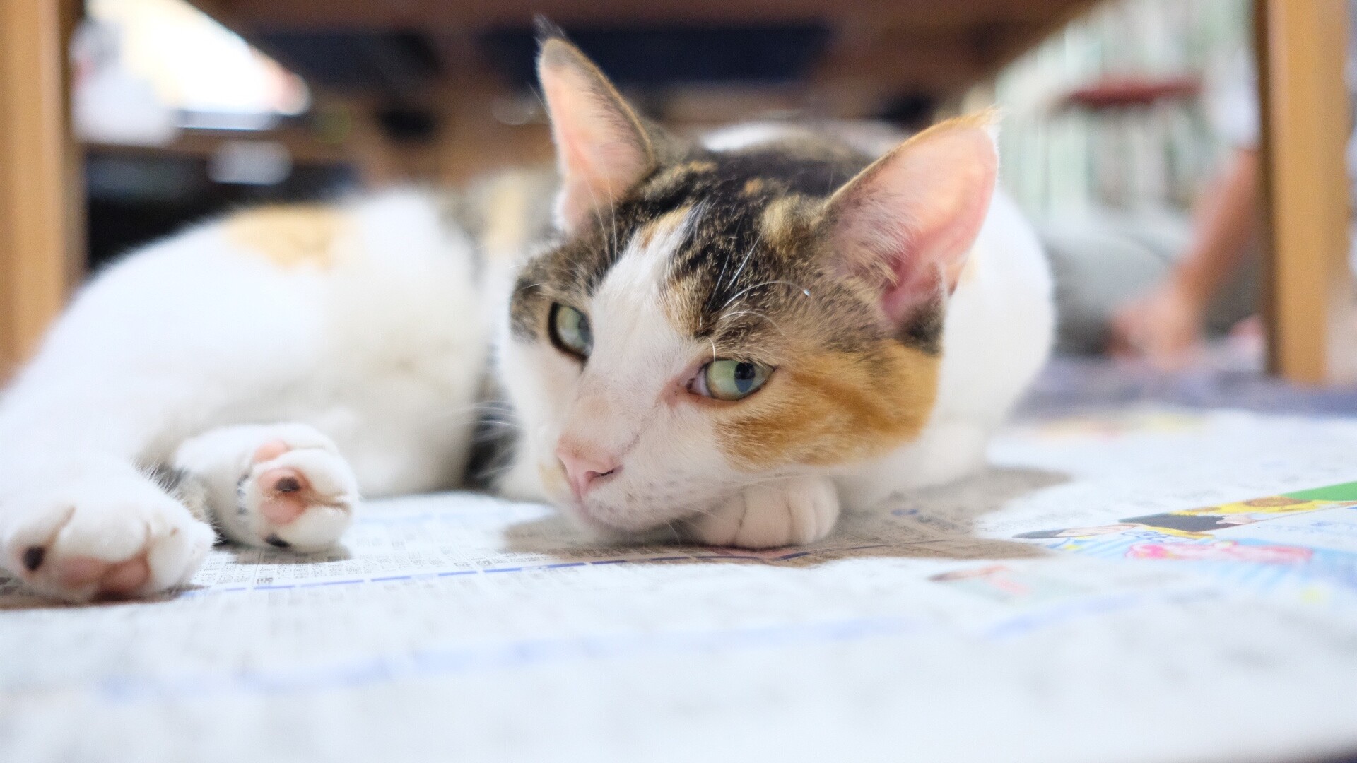 家族の陽性によって濃厚接触者となり、実家... / macchi-bowさんのモーメント | YAMAP / ヤマップ