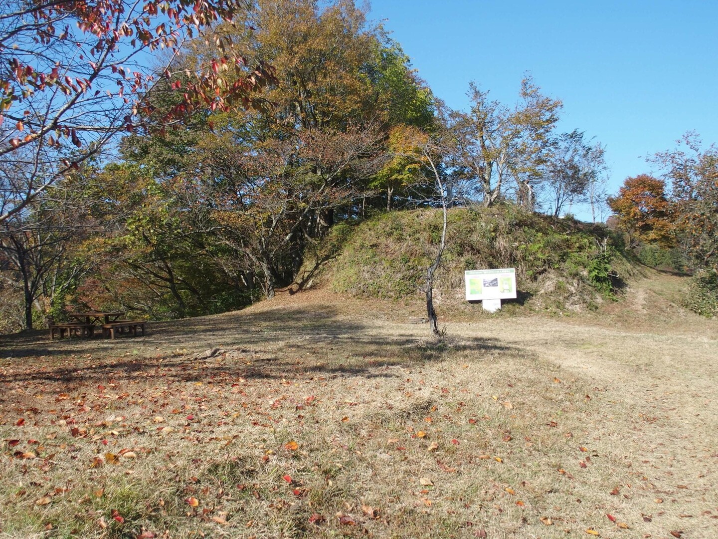 味土野を訪ねて…金剛童子山 / masazyさんの金剛童子山の活動データ | YAMAP / ヤマップ