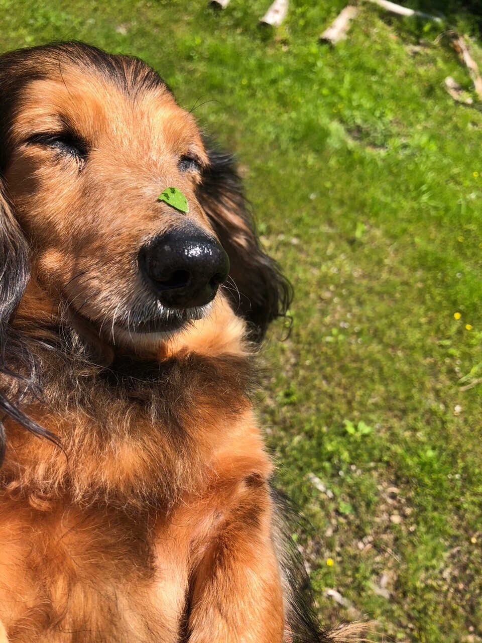 shinのページ | YAMAP / ヤマップ