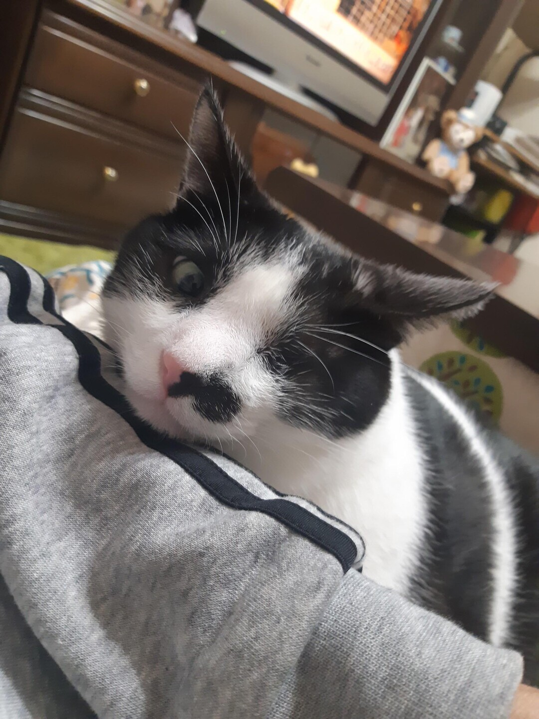 ハル317のページ | YAMAP / ヤマップ