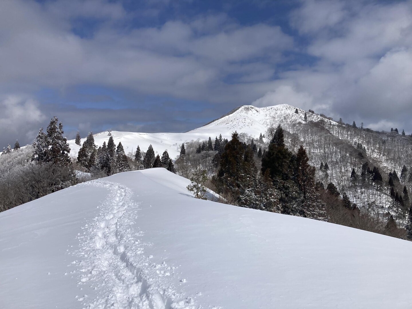 冬山終了迫る武奈ヶ岳へ / すたみな太郎MAXさんの比良山地・武奈ヶ岳・釈迦岳の活動データ | YAMAP / ヤマップ