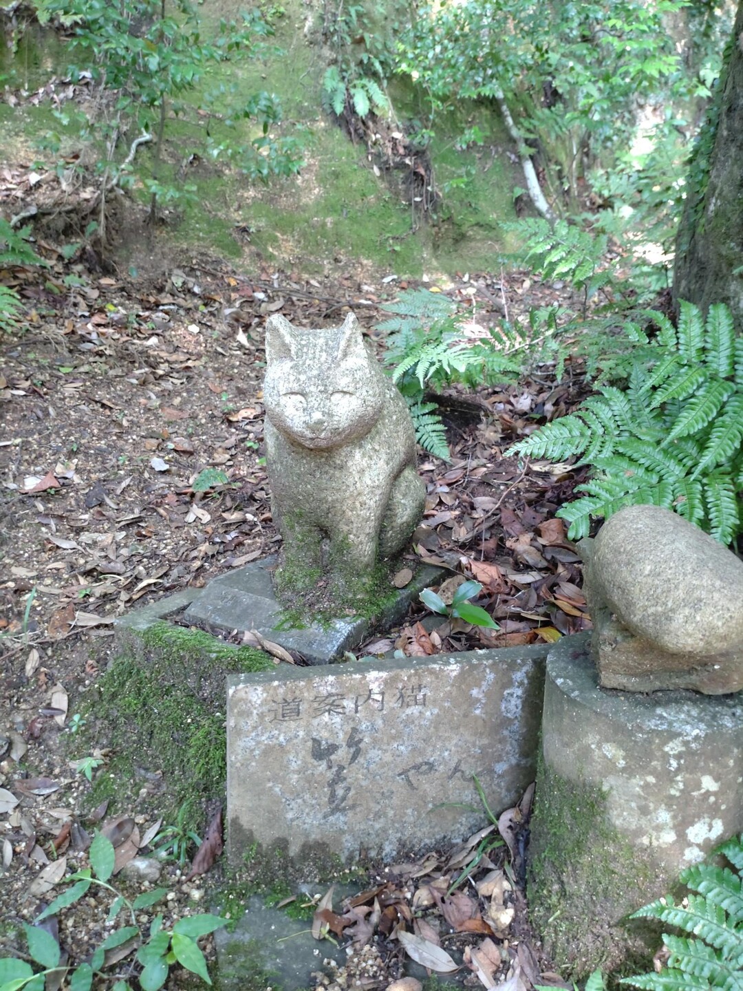 笠置山 / kacoさんの笠置山の活動データ | YAMAP / ヤマップ