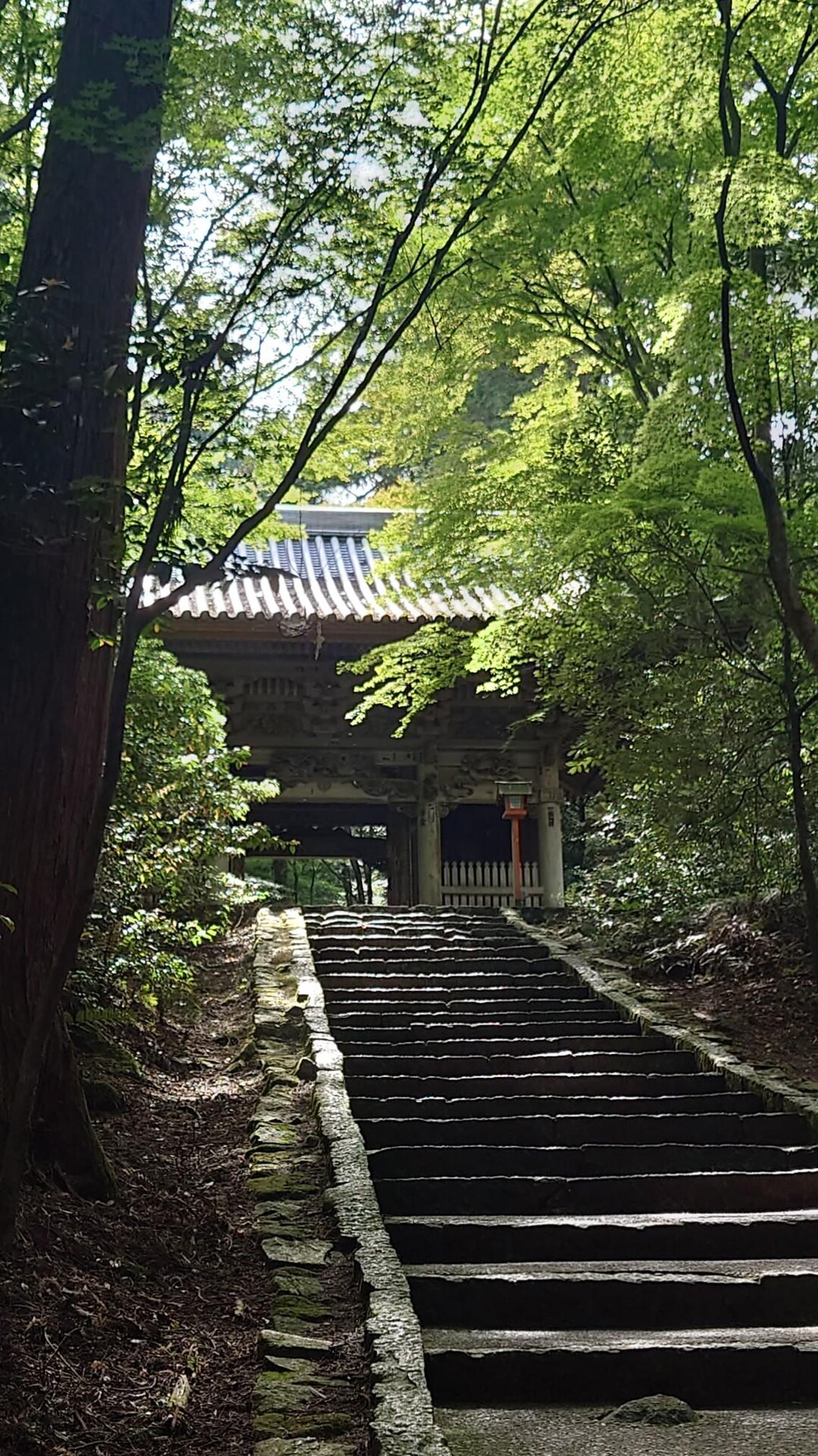 四国遍路 伊予五十二~五十九番＆別格十~十一番 / ctcさんの笠松山の活動データ | YAMAP / ヤマップ