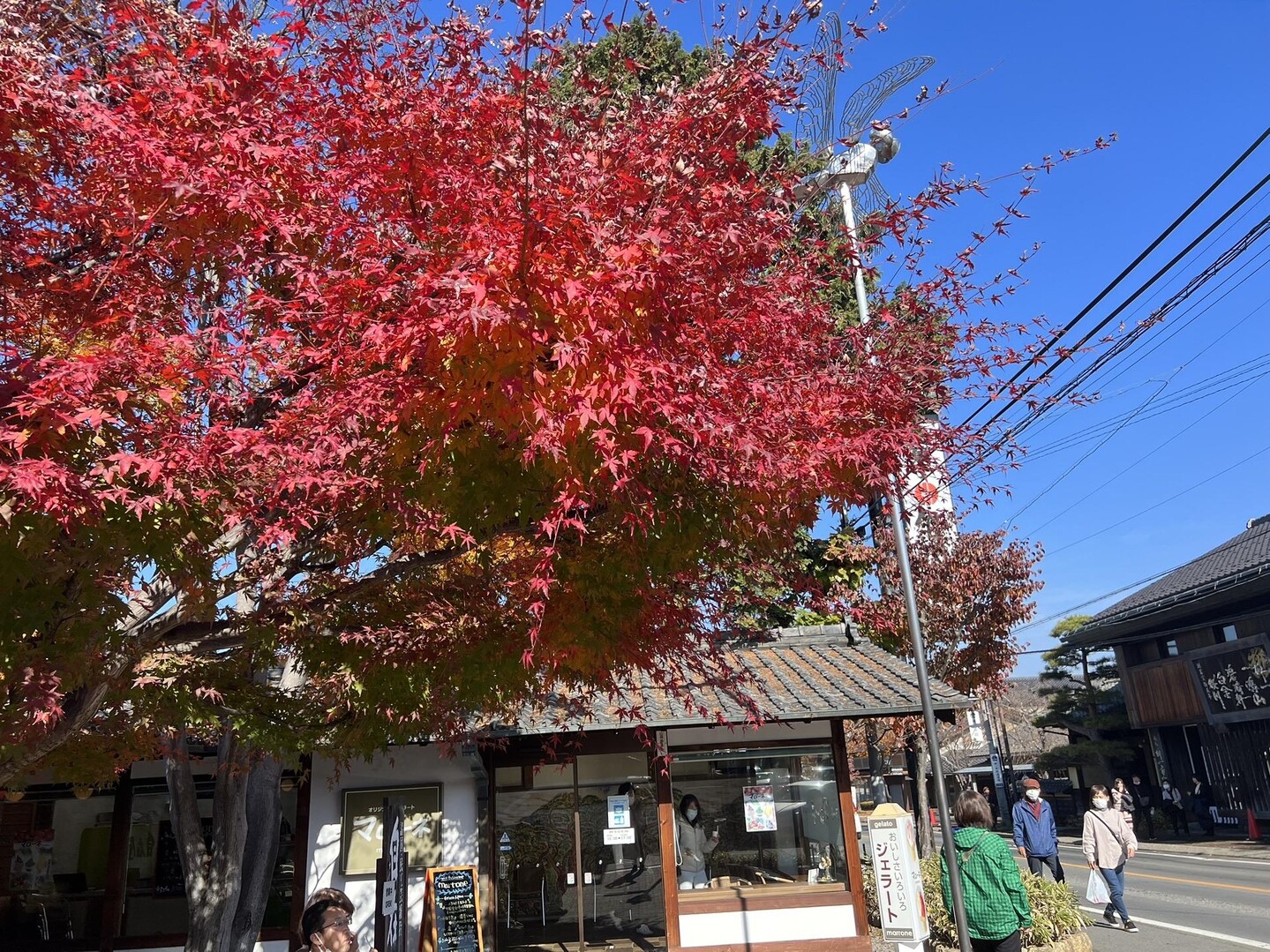 焼き栗が食べたく小布施へ -2022-11-19 / taki_ggさんのウォーキングの活動データ | YAMAP / ヤマップ