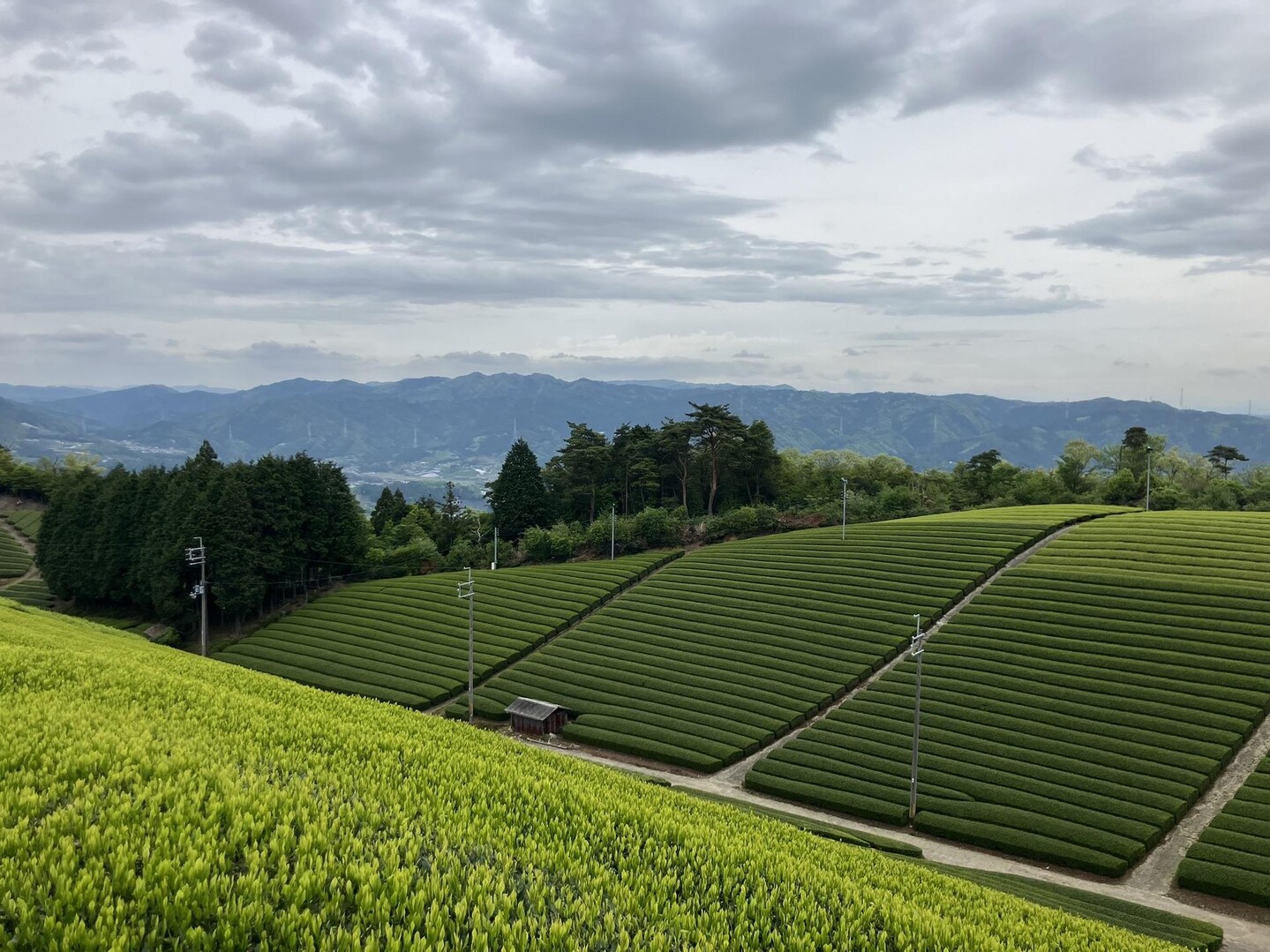 奥岸谷山 / AKさんの三上山・大焼山の活動データ | YAMAP / ヤマップ