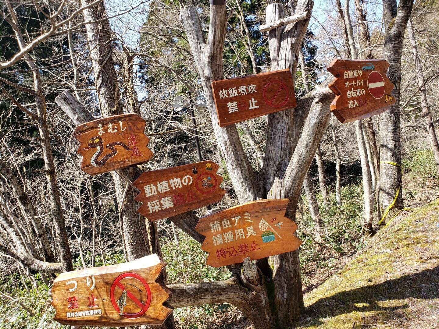 岡山県立森林公園🗻 シーズン明け直後だ... / MIHOさんのモーメント | YAMAP / ヤマップ