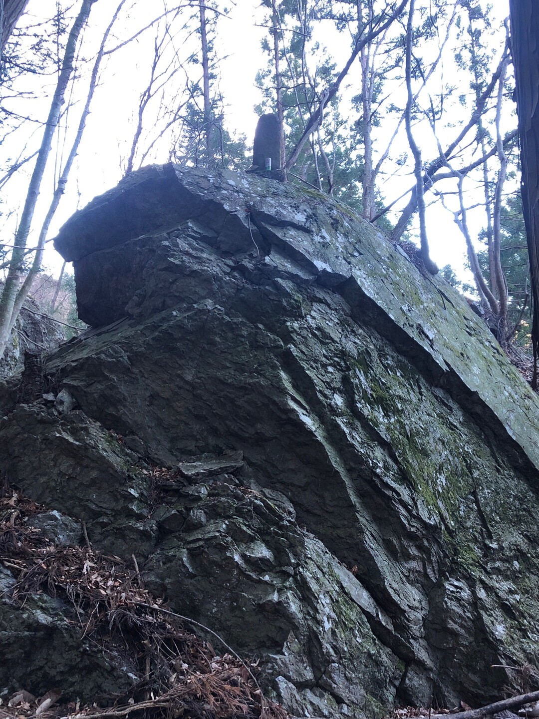 KARINAさんの投稿したフィールドメモ | YAMAP / ヤマップ