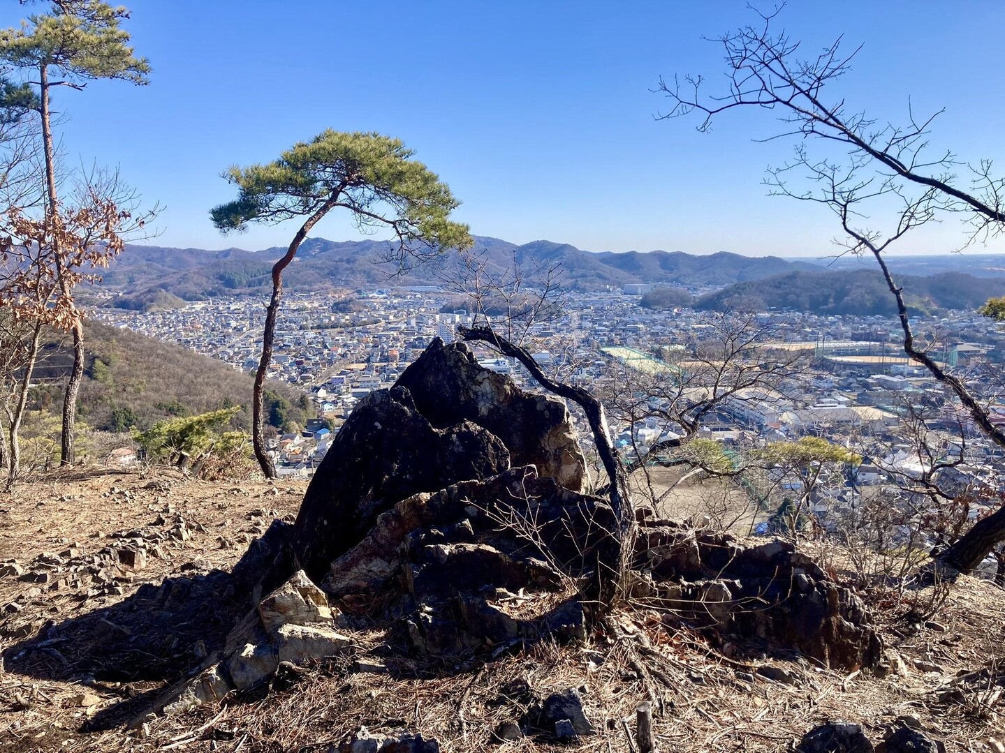 足利アルプスと本城富士 / Mt.Mikiさんの両崖山・仙人ヶ岳・石尊山の活動データ | YAMAP / ヤマップ